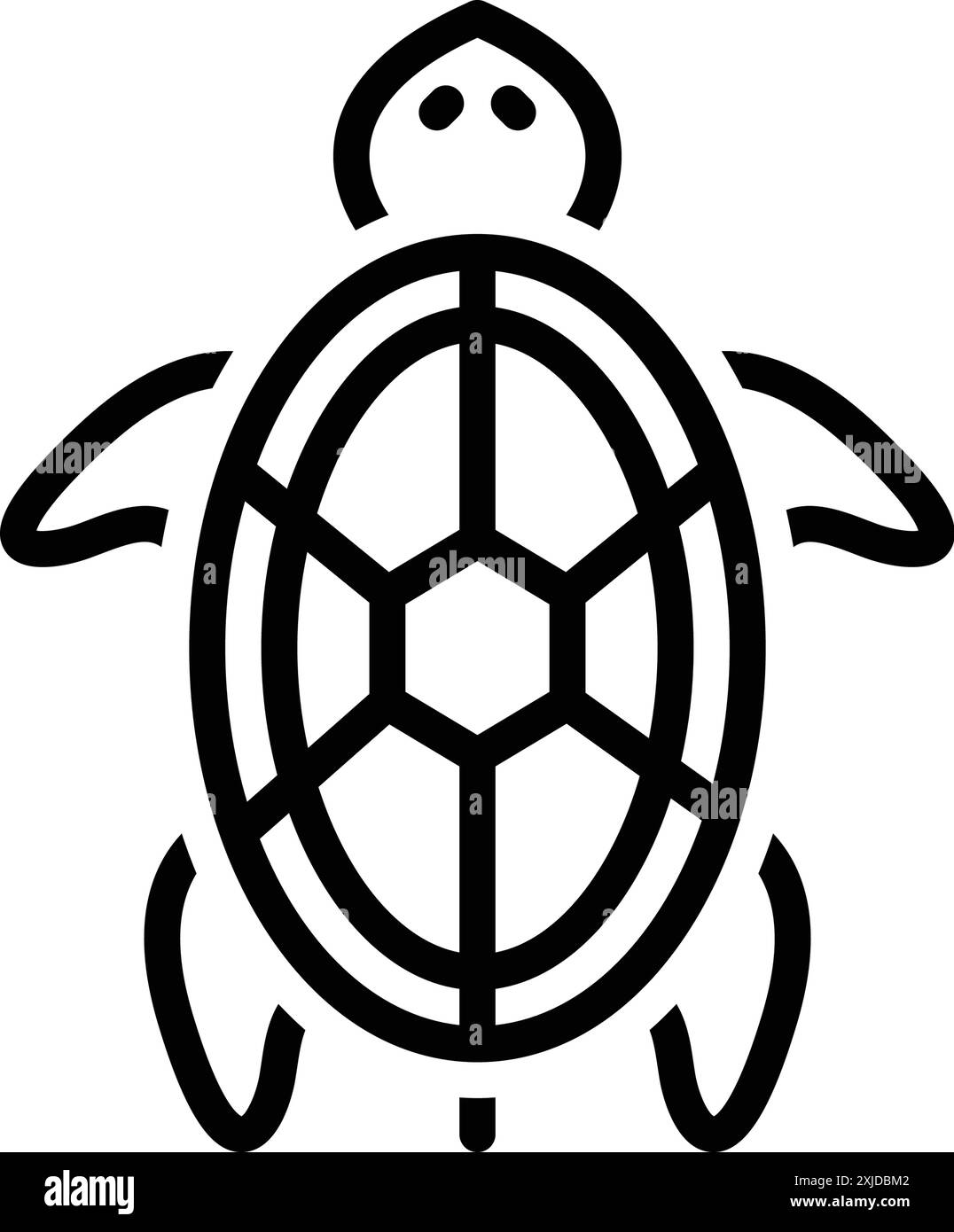 Icon for turtle,amphibious Stock Vector Image & Art - Alamy