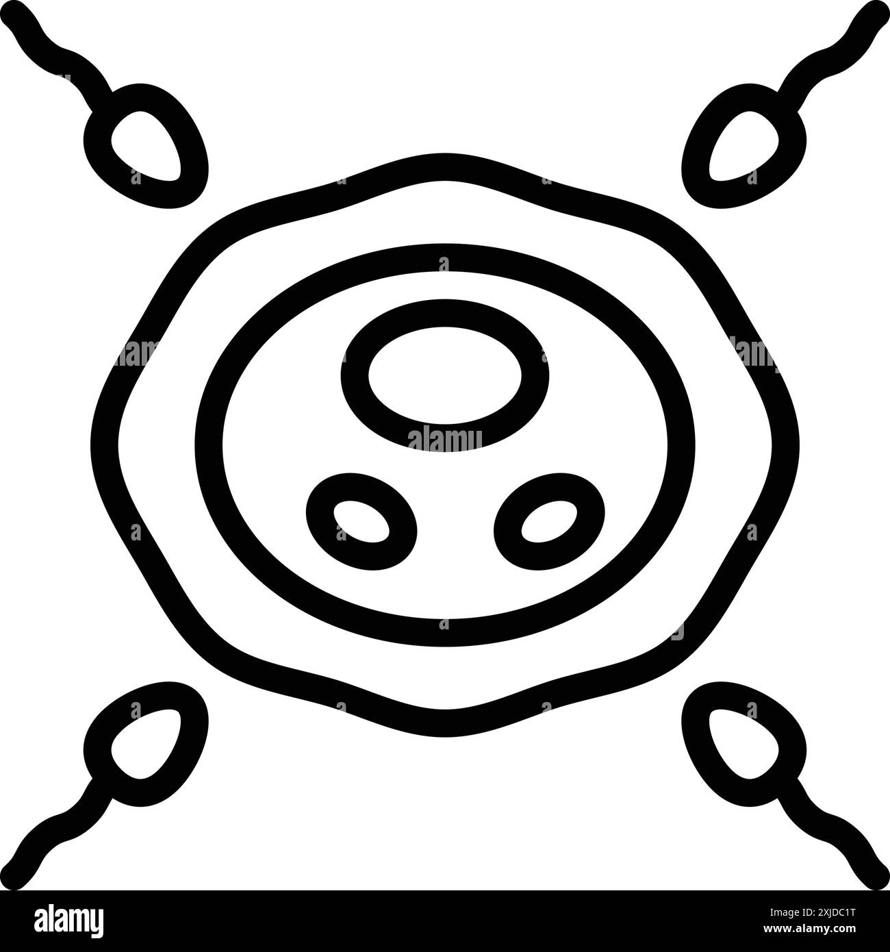 Icon for reproduce,sperm Stock Vector Image & Art - Alamy Icon for reproduce,sperm Stock Vector Image & Art - Alamy