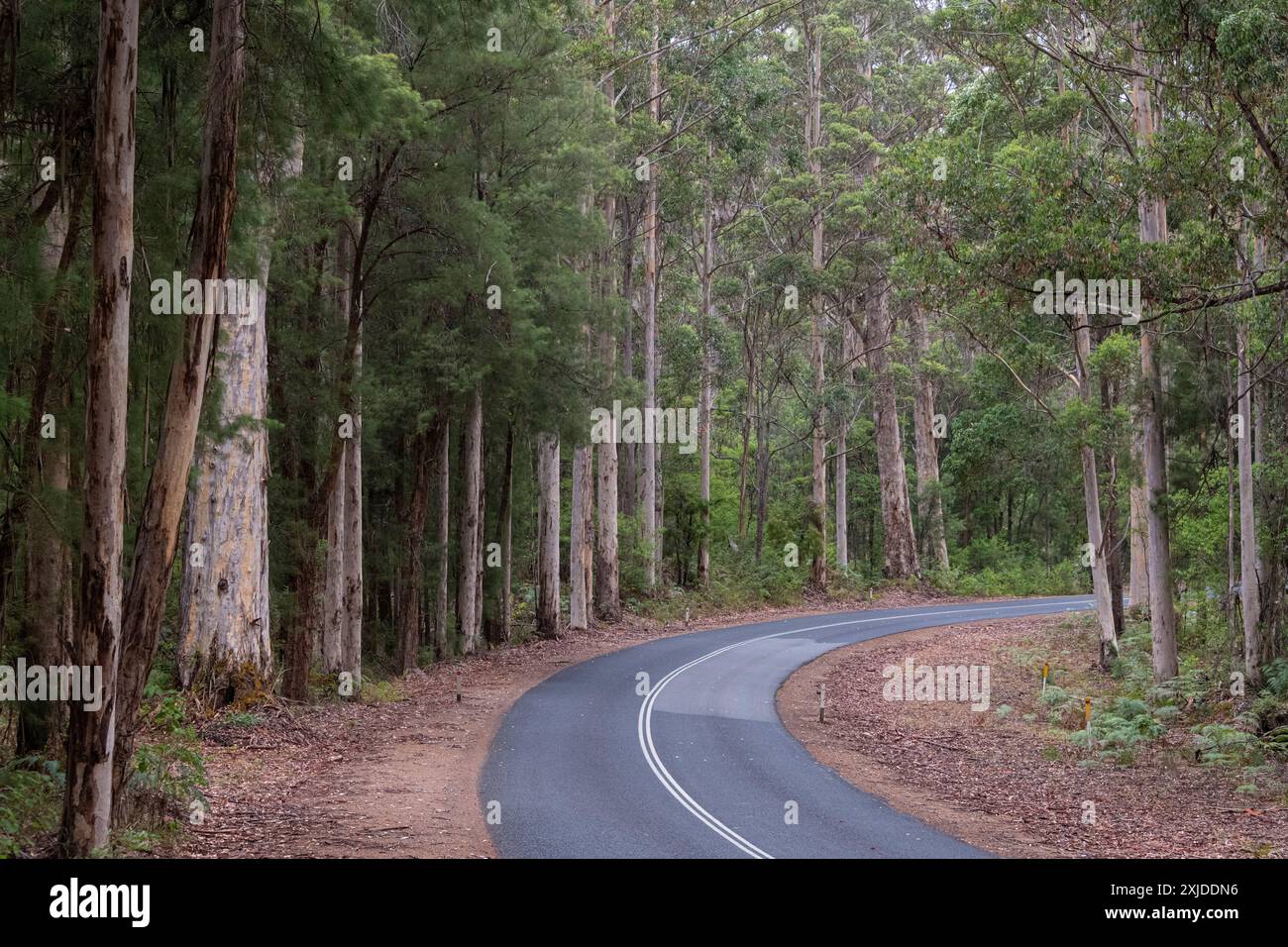 Brockman park hi-res stock photography and images - Alamy