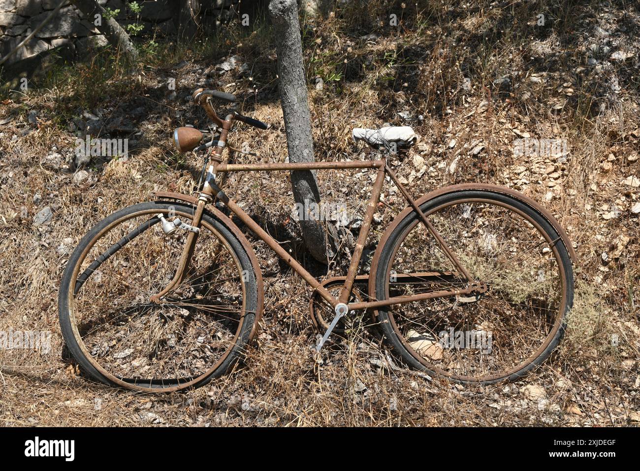 Old lost bike hi-res stock photography and images - Alamy