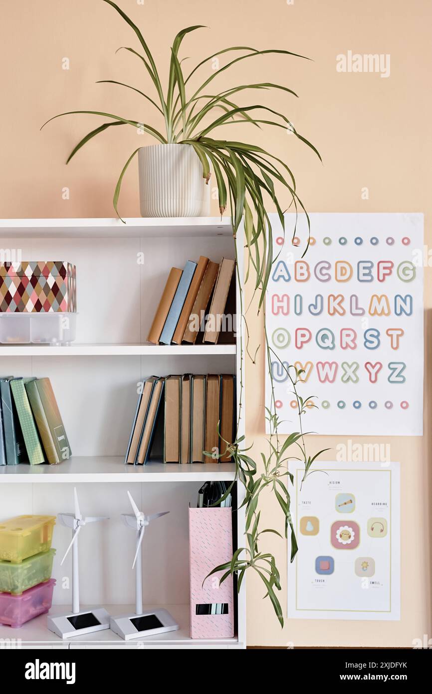 Vertical still life shot of school shelving unit with books, green ...