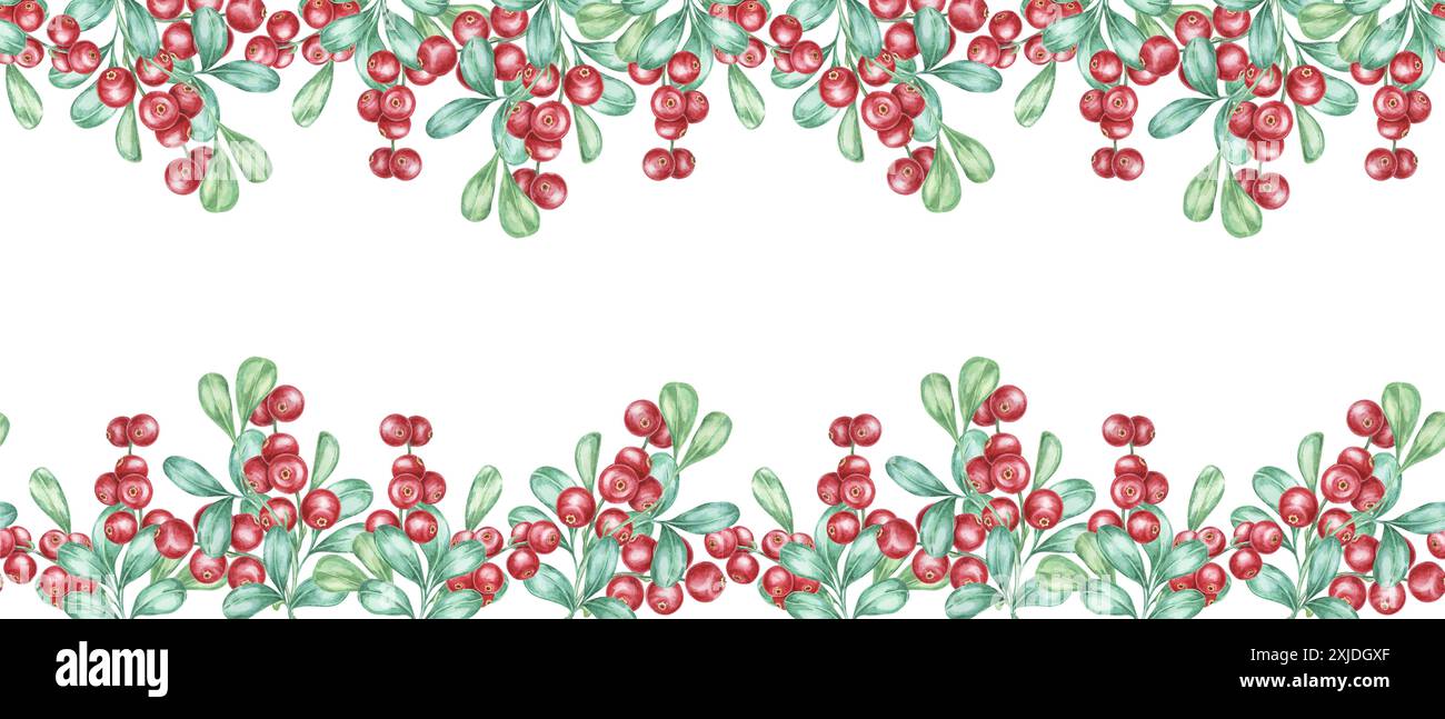Cranberry seamless border watercolor clipart depicting an abundant ...
