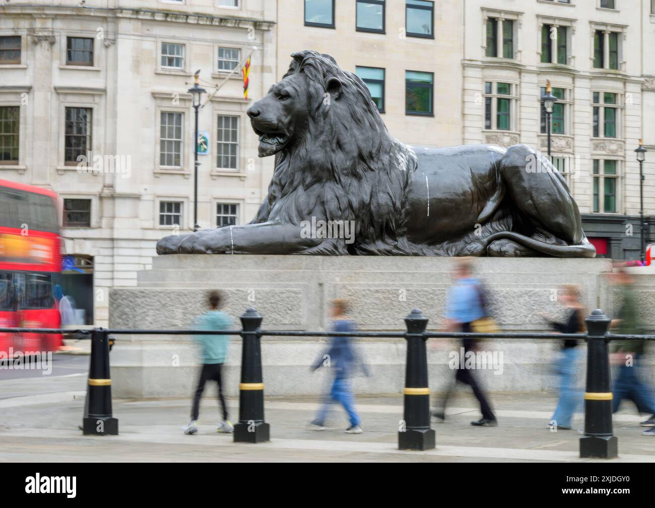 One of the four majestic lion statues in Trafalgar square, London ...