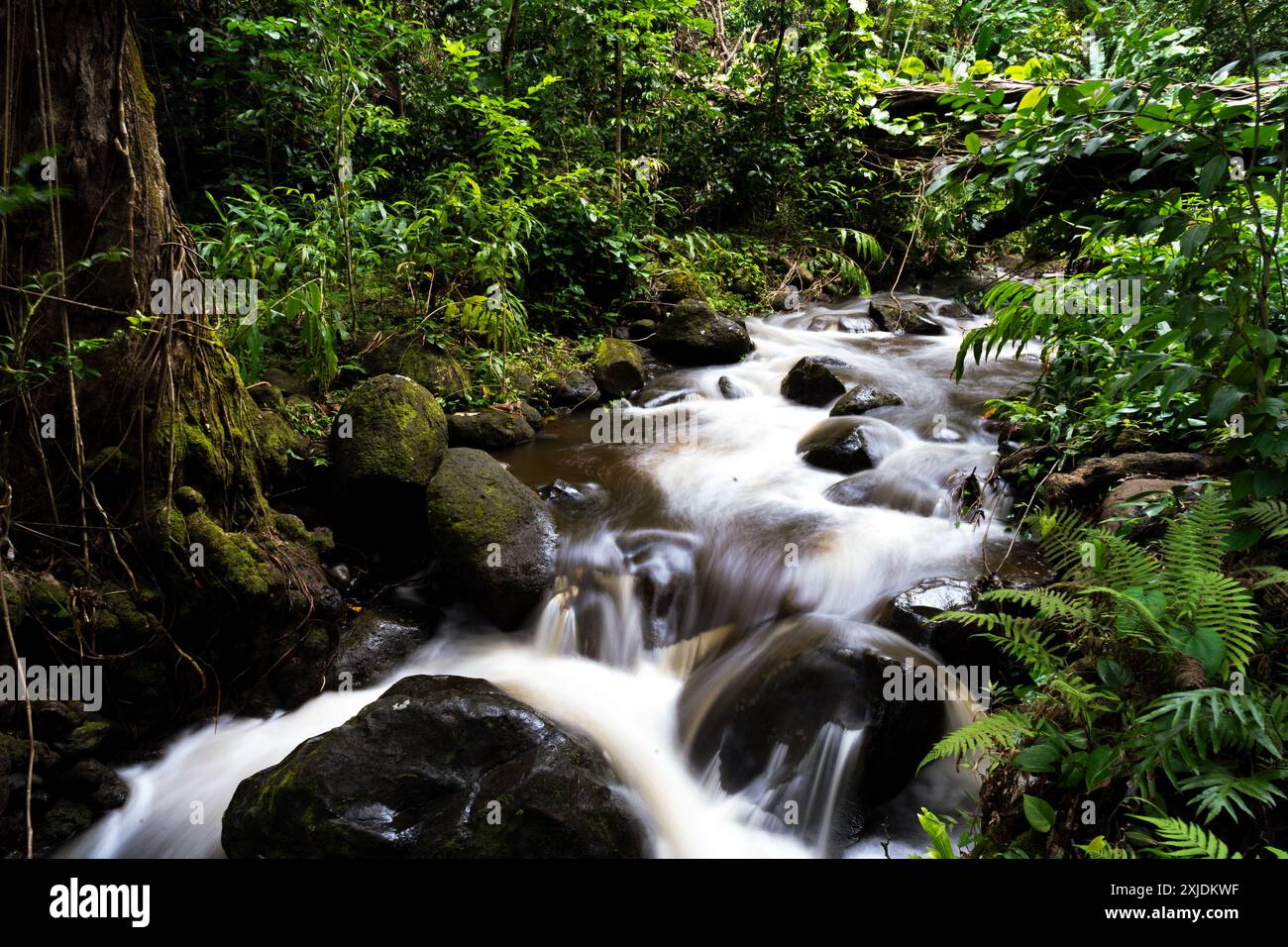 river along a hiking trail Stock Photo - Alamy