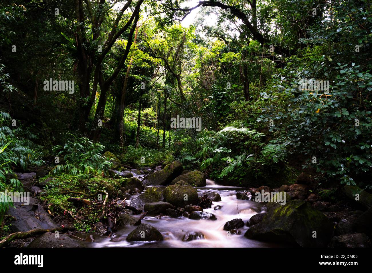 river along a hiking trail Stock Photo - Alamy