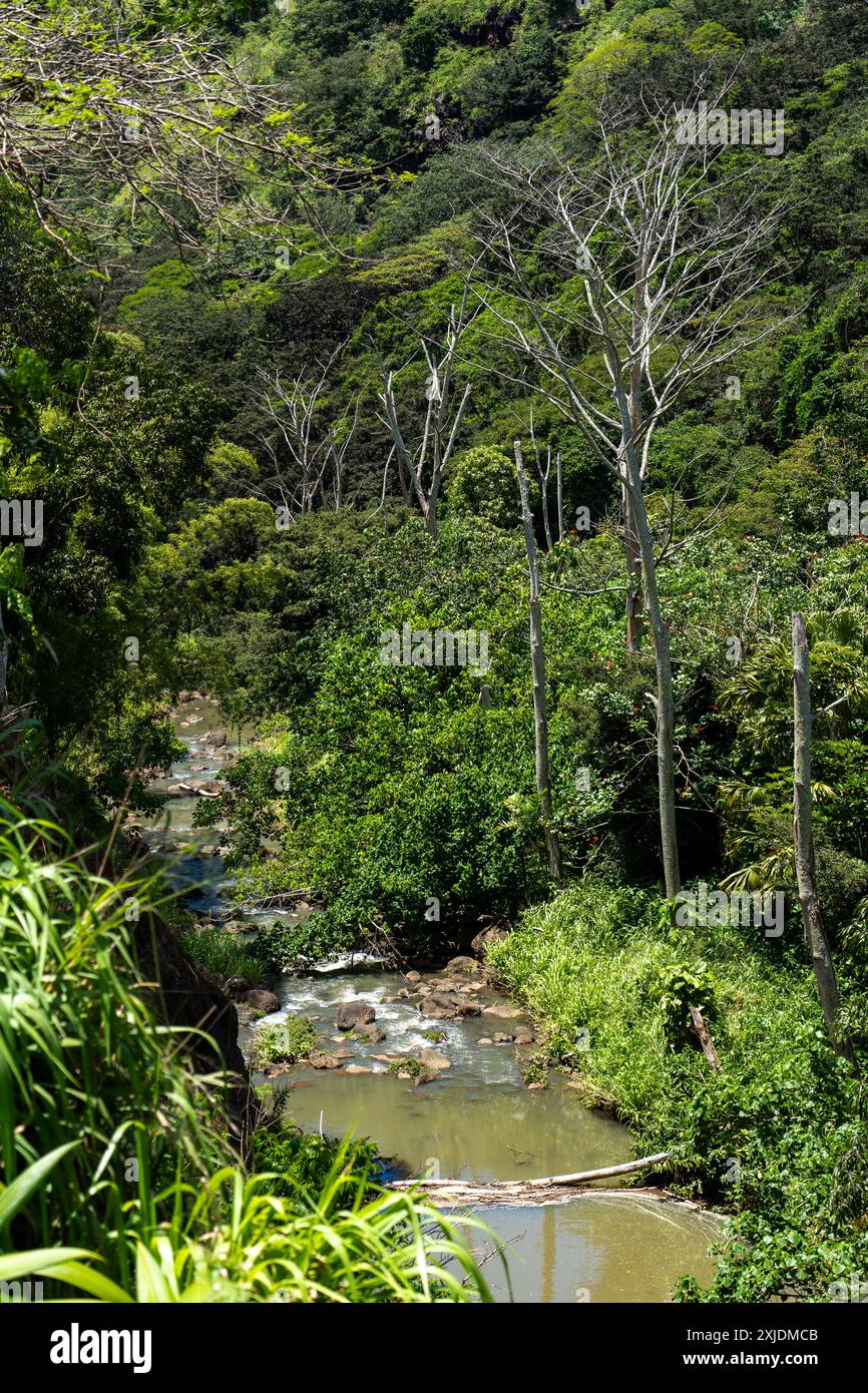 Waimea river hi-res stock photography and images - Alamy