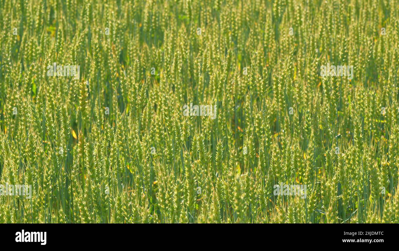 Farm land farmlandand a field hi-res stock photography and images - Alamy