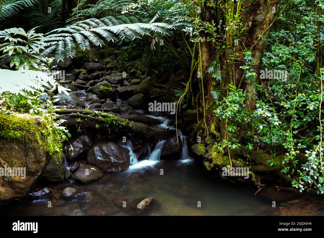 river along a hiking trail Stock Photo - Alamy