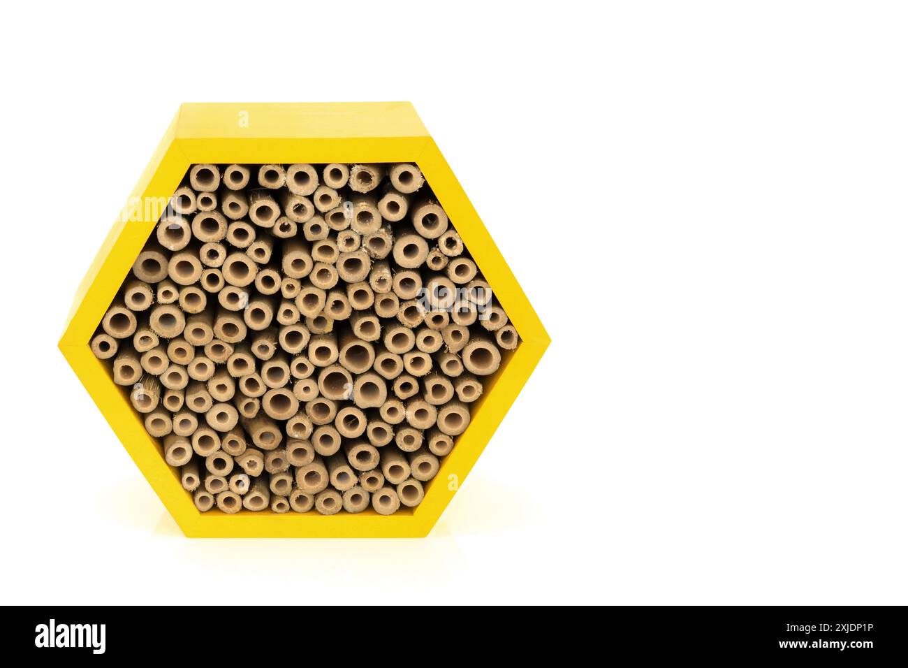 Bee safe Cut Out Stock Images & Pictures - Alamy