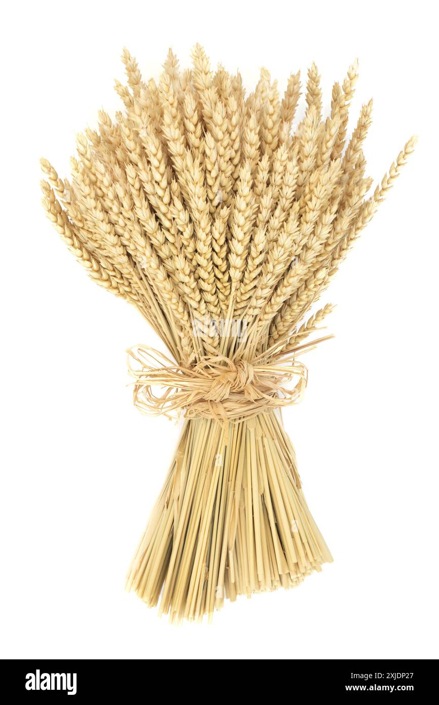 Bow bundle Cut Out Stock Images & Pictures - Alamy