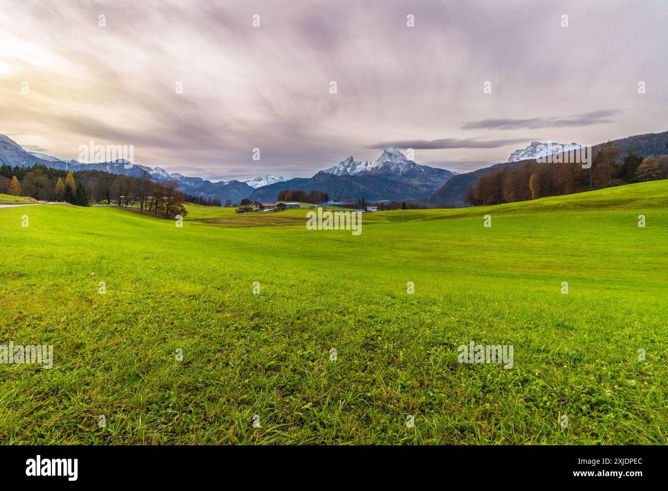 Green bright meadow and famous Watzmann mountain on a background ...