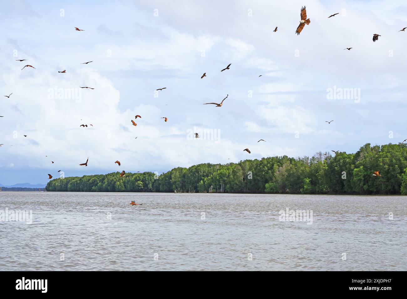Welu river hi-res stock photography and images - Alamy