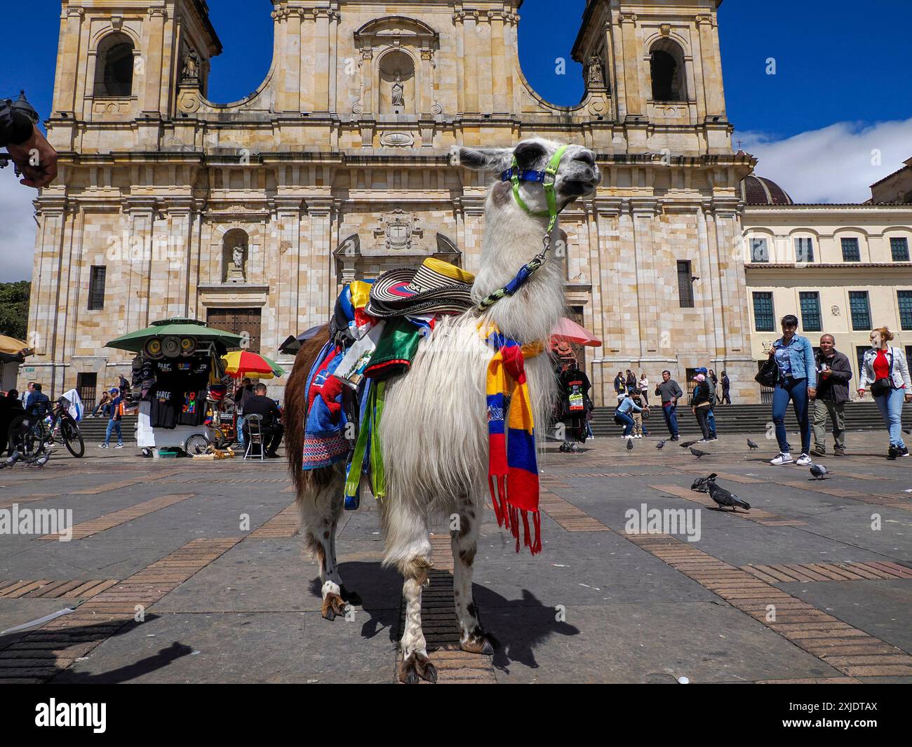 BOGOTA, COLOMBIA - JULY 3 2024 - Many tourist are at Plaza de Bolivar ...