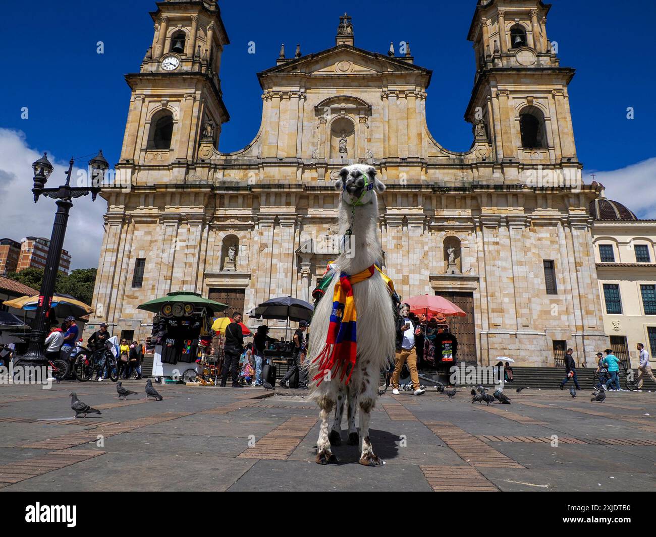 BOGOTA, COLOMBIA - JULY 3 2024 - Many tourist are at Plaza de Bolivar ...