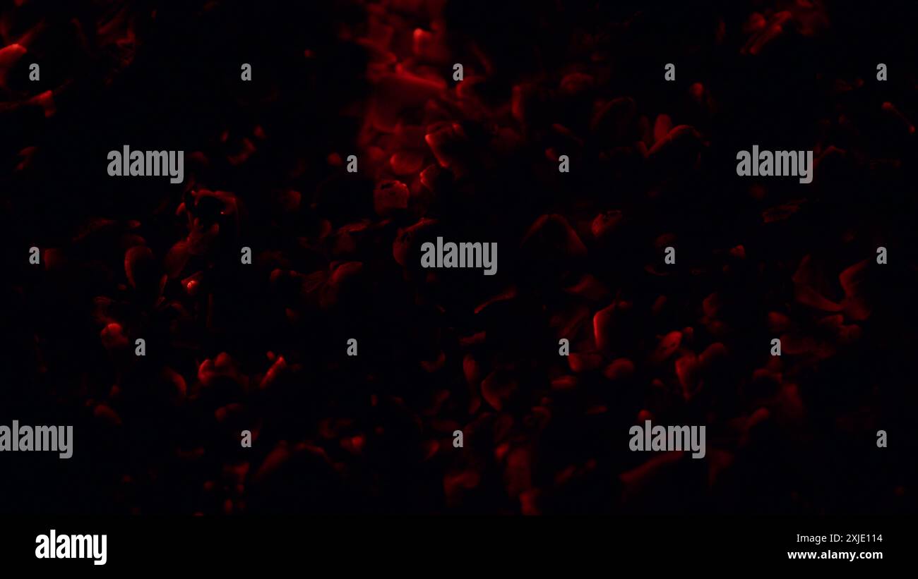 Slow motion. Burning hot embers of a wood fire. Solid fuel stoves now ...