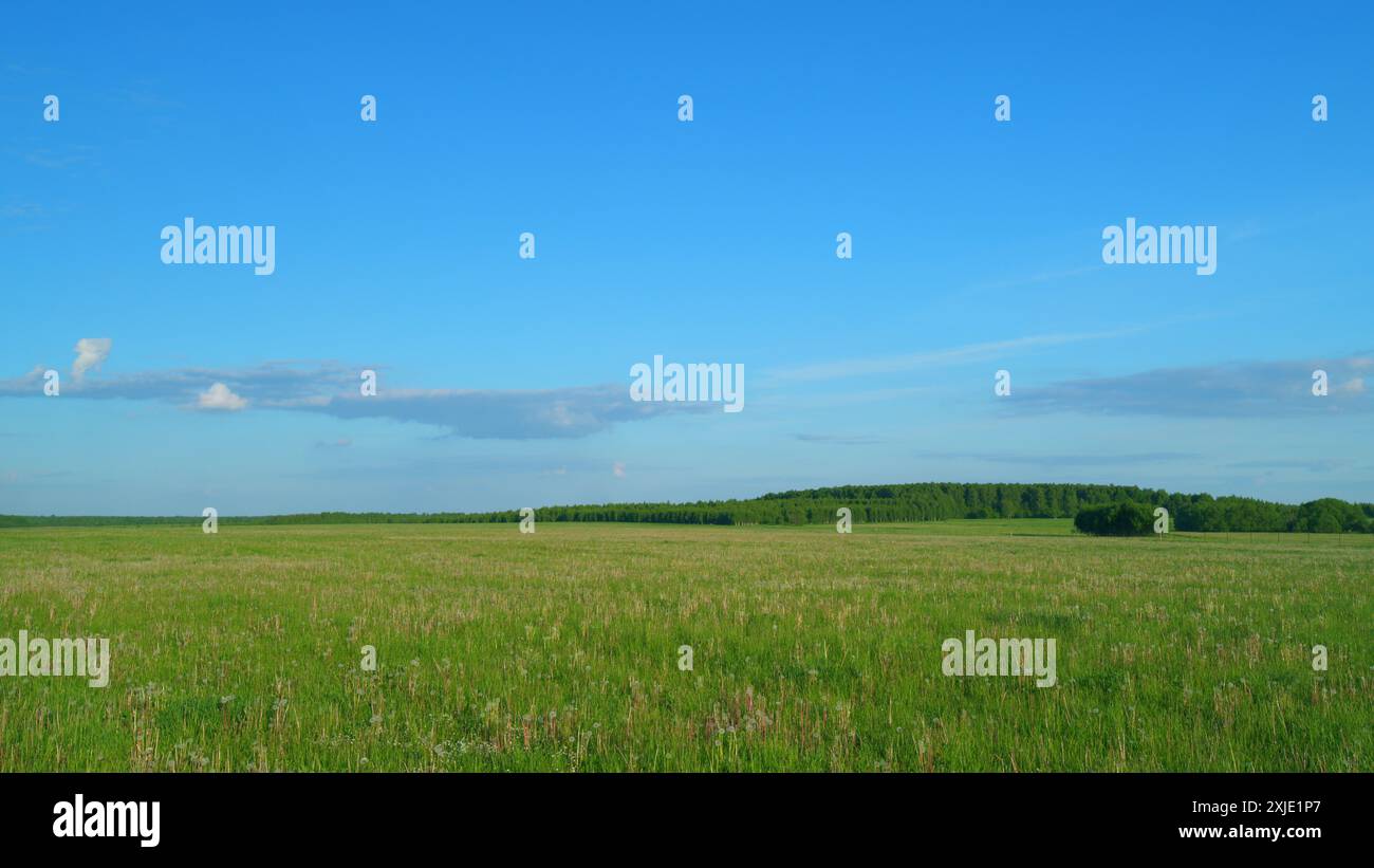 Plant growth time lapse blue hi-res stock photography and images - Alamy