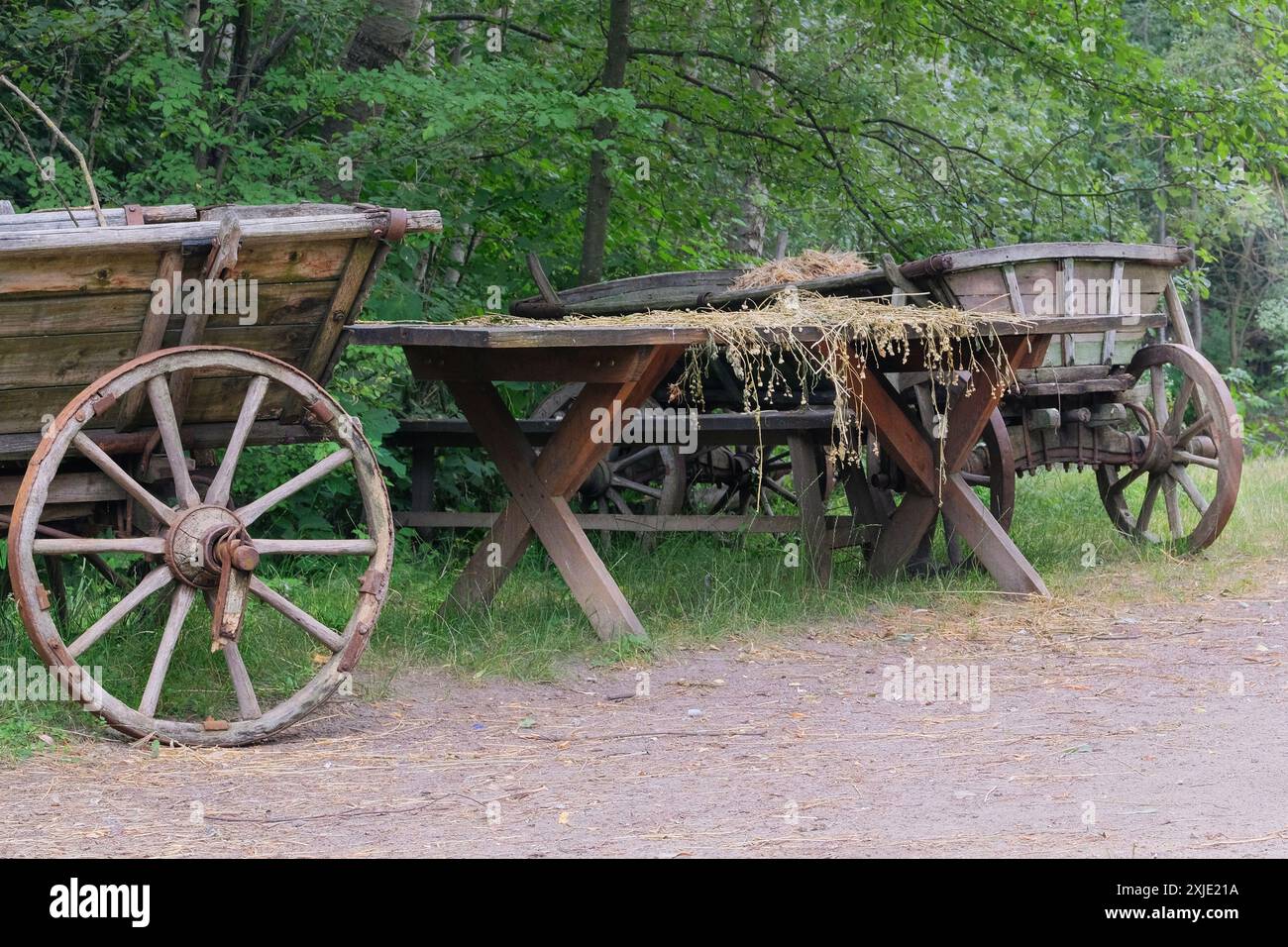 Rustic transport in nature landscape. Antique wooden cart Stock Photo ...
