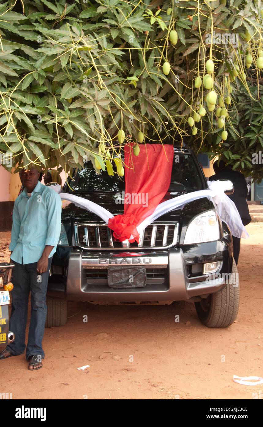 Wedding car and mango tree, Ankpa, Kogi State, Nigeria, Africa Stock ...