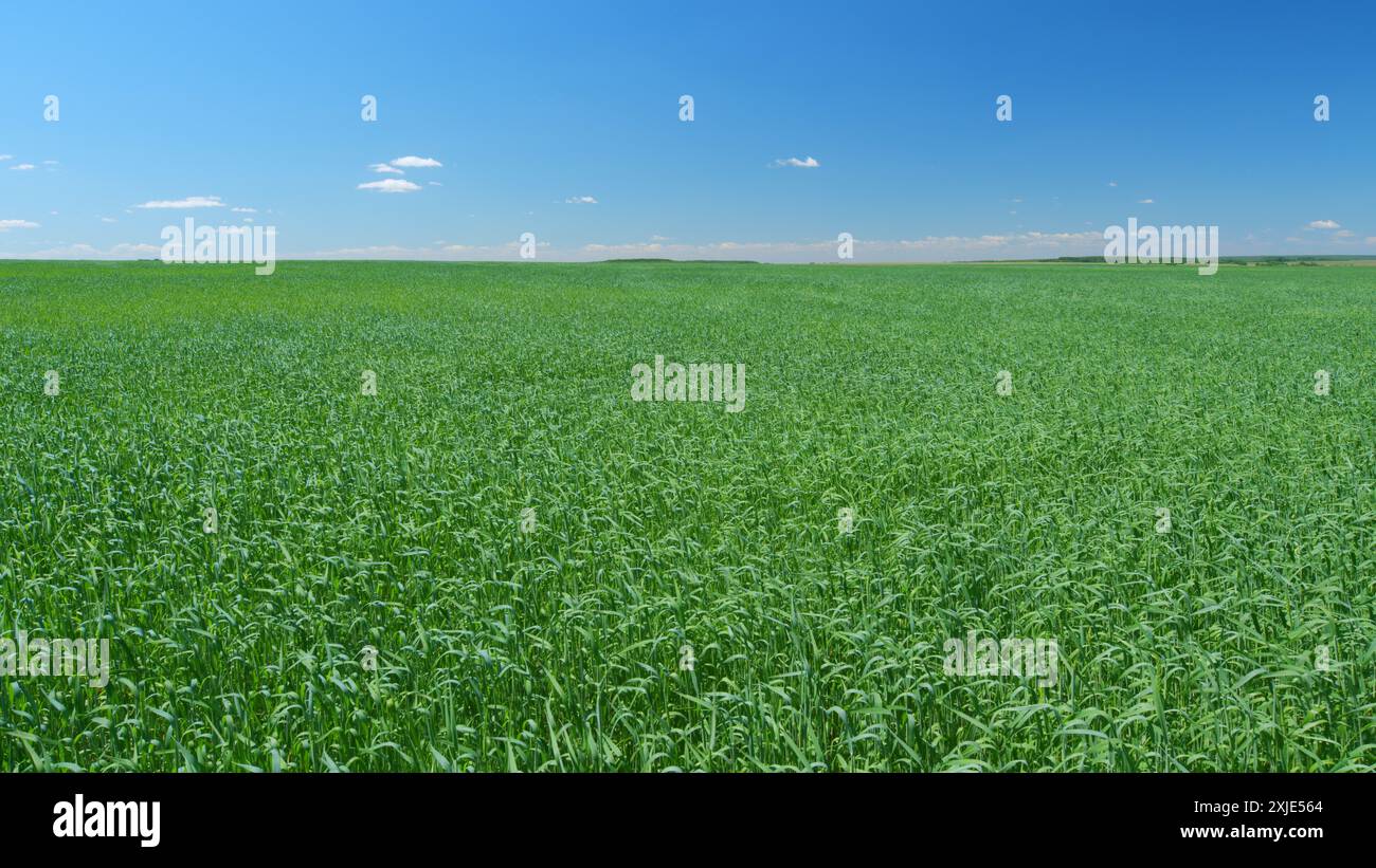 Scenic slow motion background shot hi-res stock photography and images ...