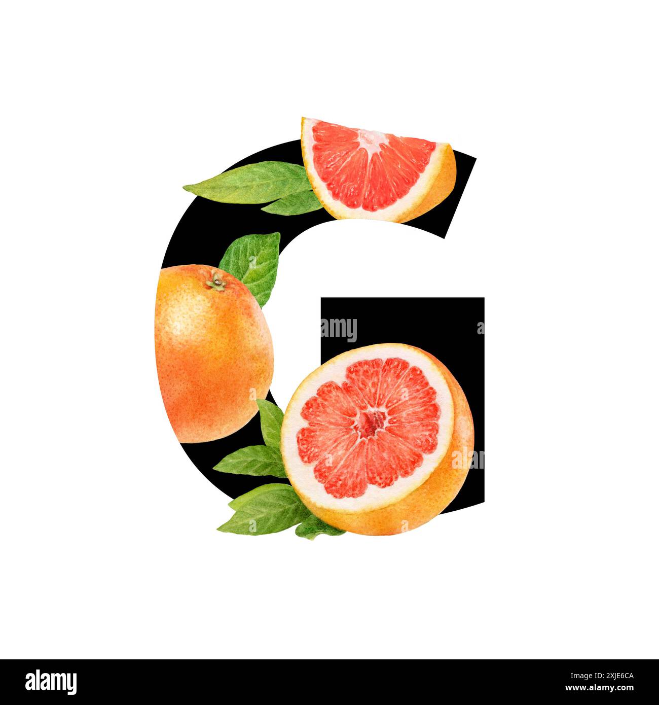 Illustration of letter G with a grapefruit for advertising, branding ...