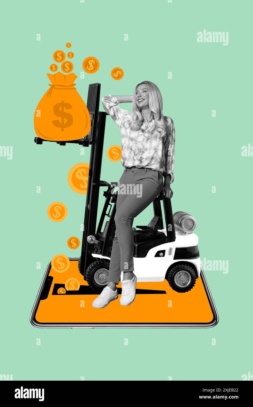 Composite collage image of young female rich lifting money crane ...