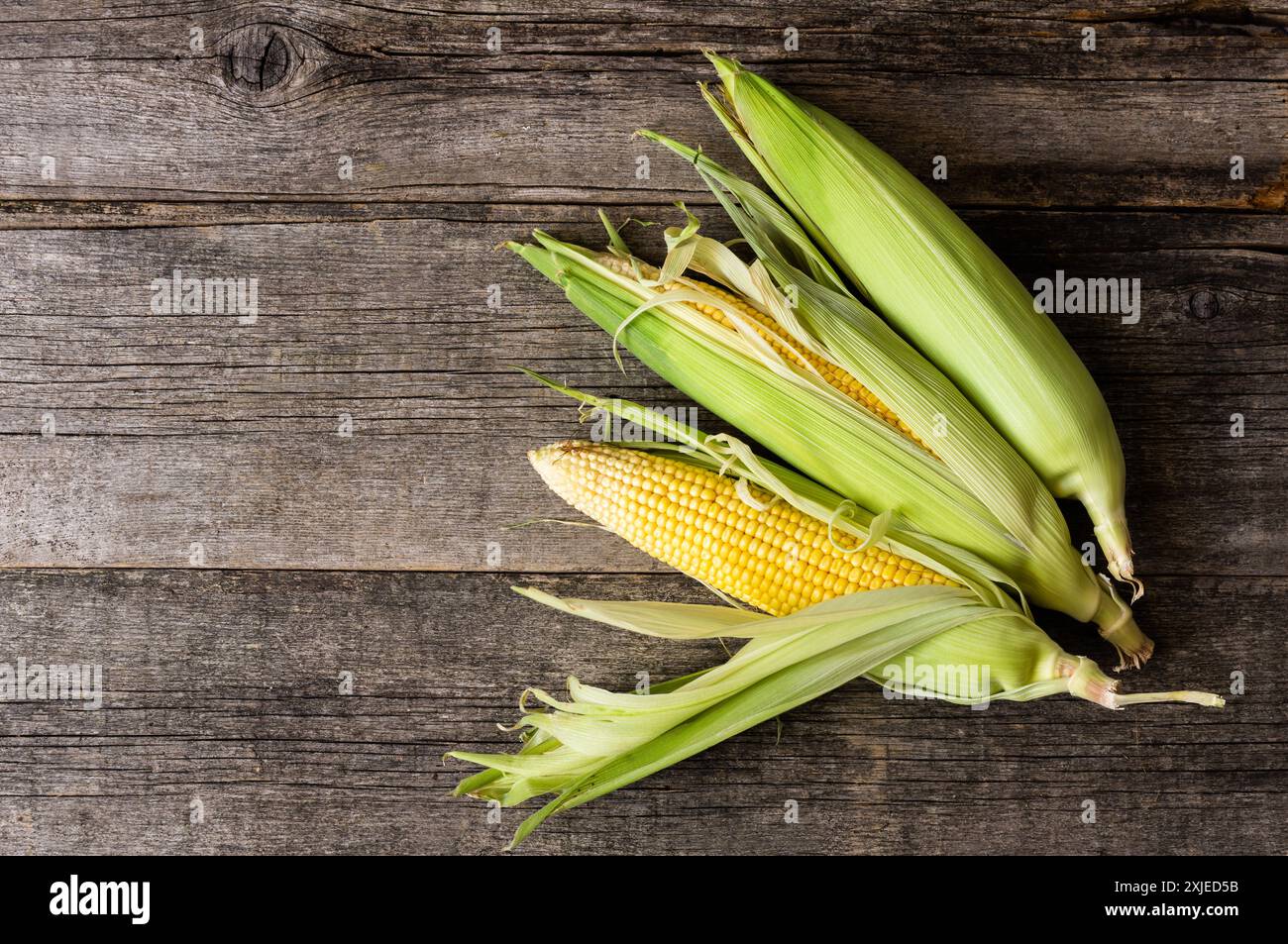 Fresh ripe three half peeled corn cobs on dark rustic table, grain ...