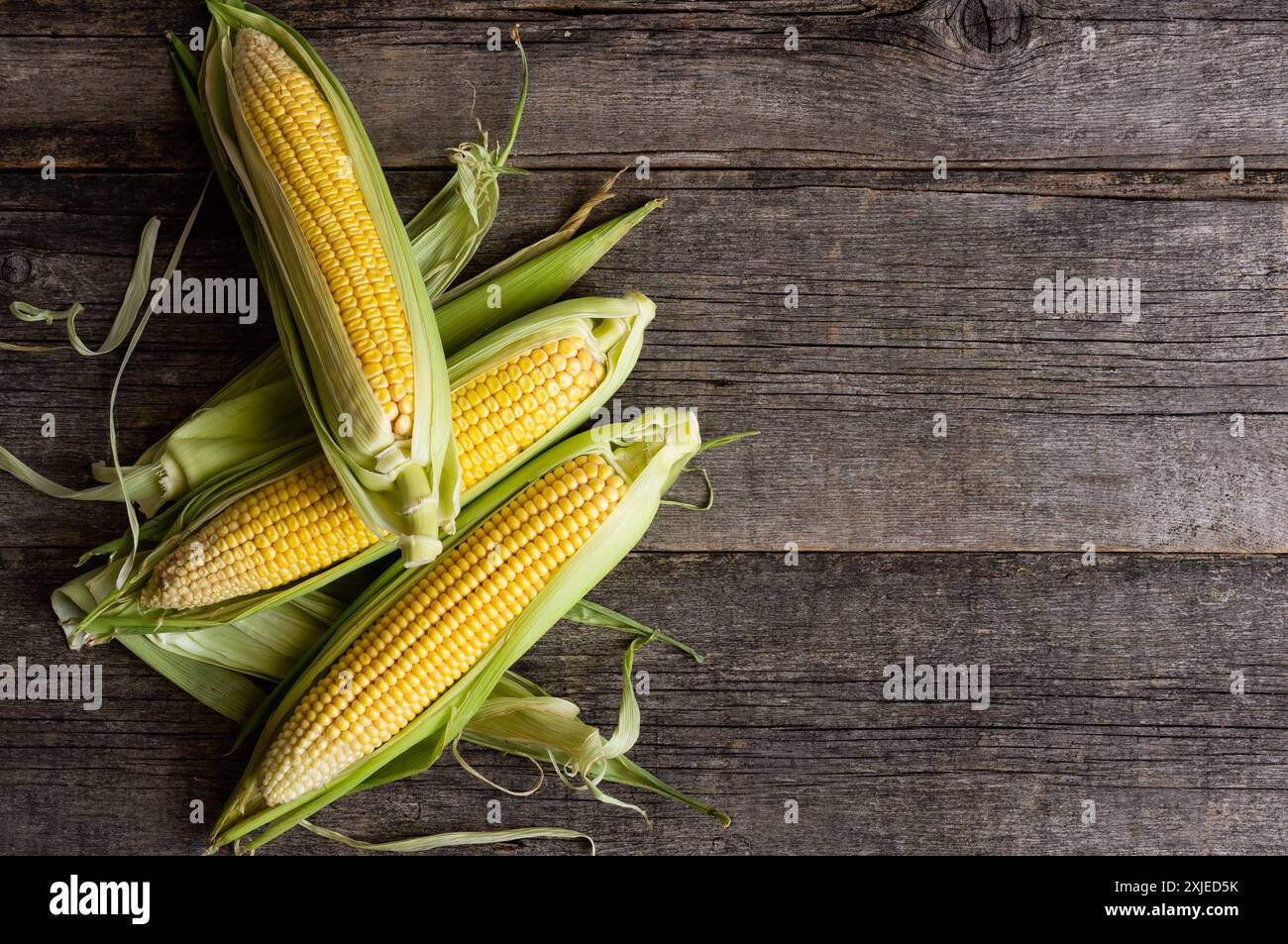 Fresh ripe three half peeled corn cobs on dark rustic table, grain ...