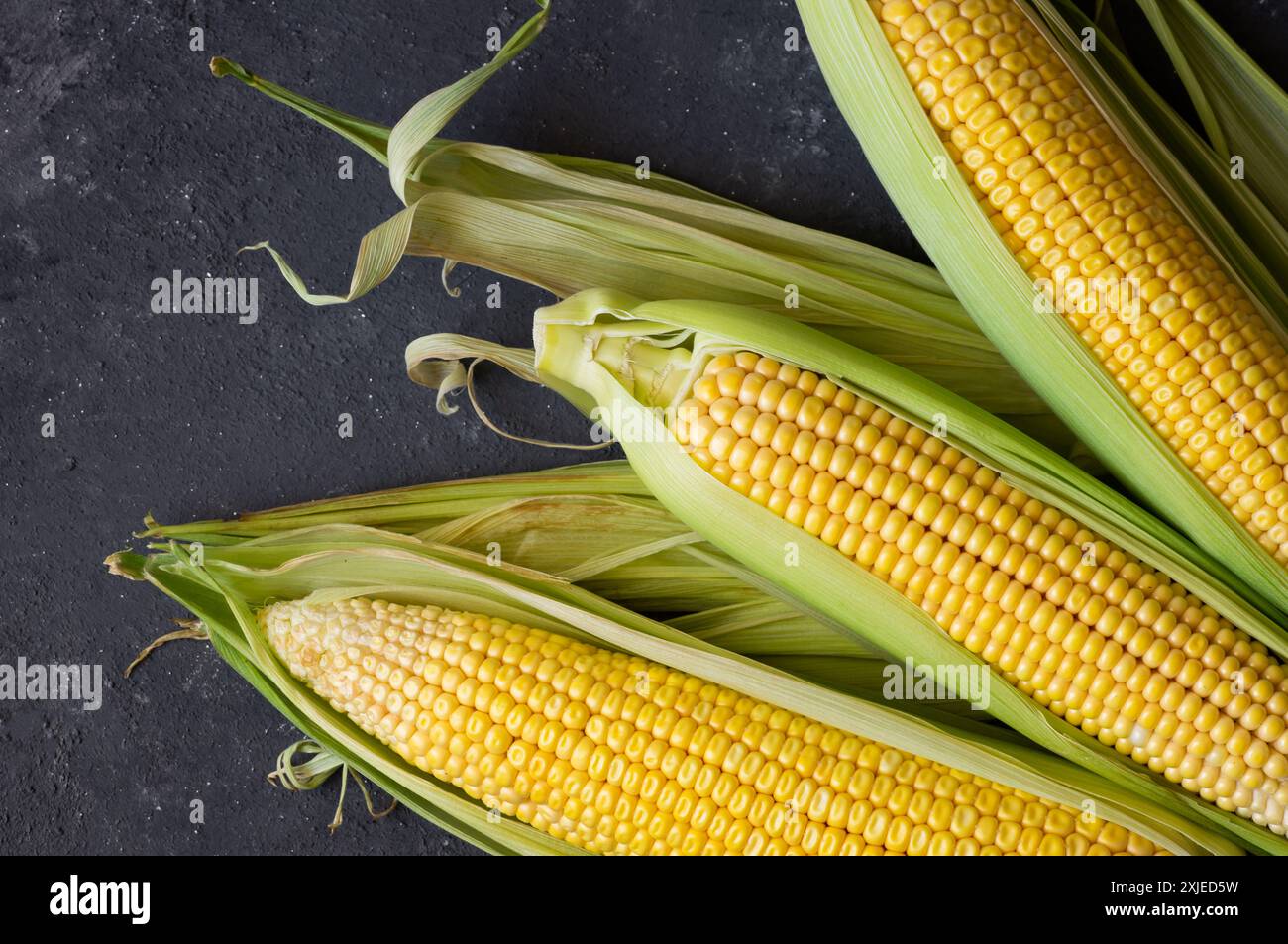 Fresh ripe three half peeled corn cobs on dark rustic table, grain ...