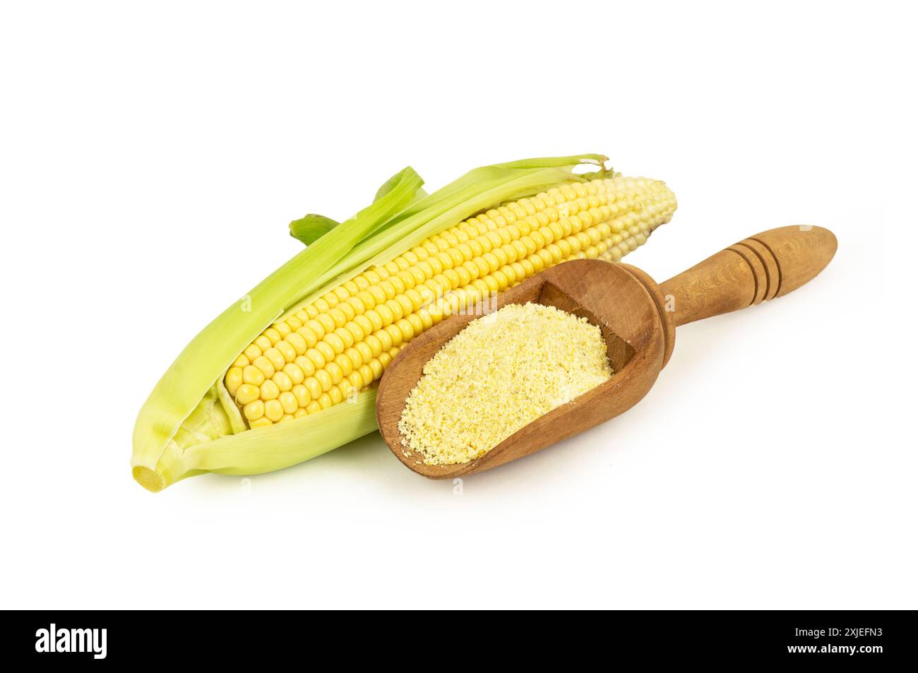 Corn flour in wooden spoon with fresh corn cobs isolated on white ...