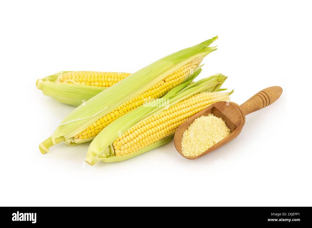 Corn flour in wooden spoon with fresh corn cobs isolated on white ...