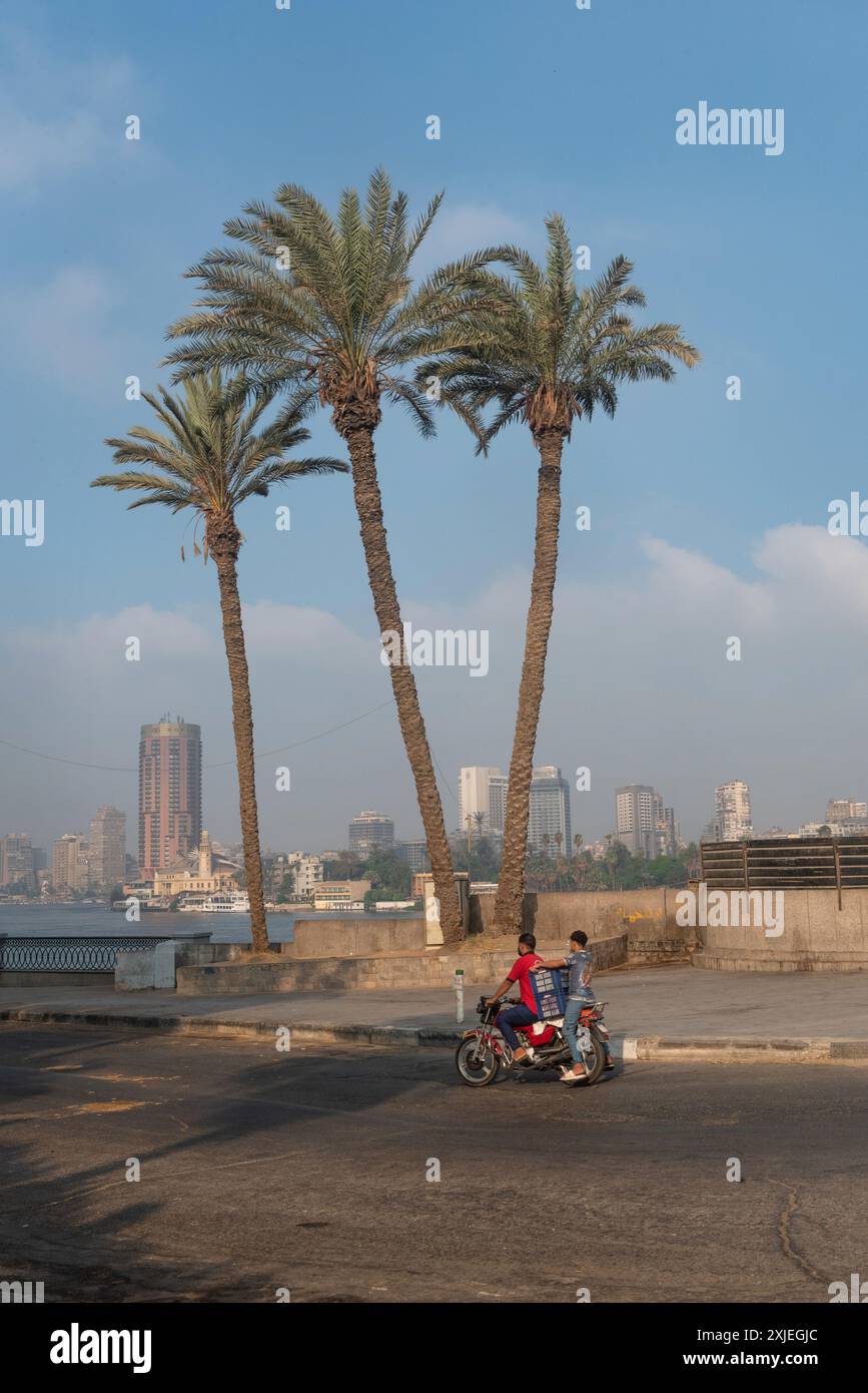 Cairo, Egypt. July 1st 2024 Palm trees beside the Qasr El Nil Bridge ...