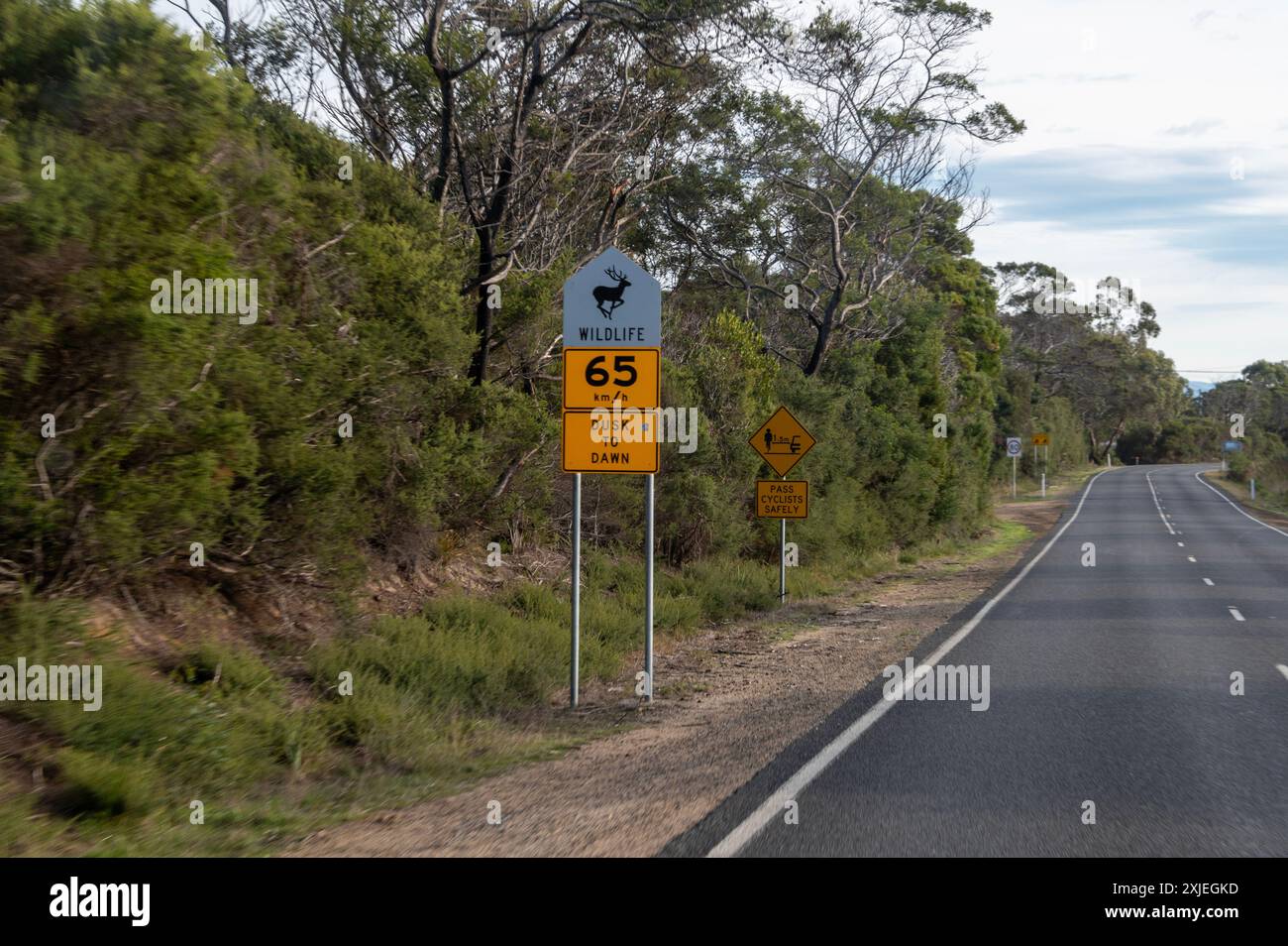 Tasmanian driving hi-res stock photography and images - Alamy