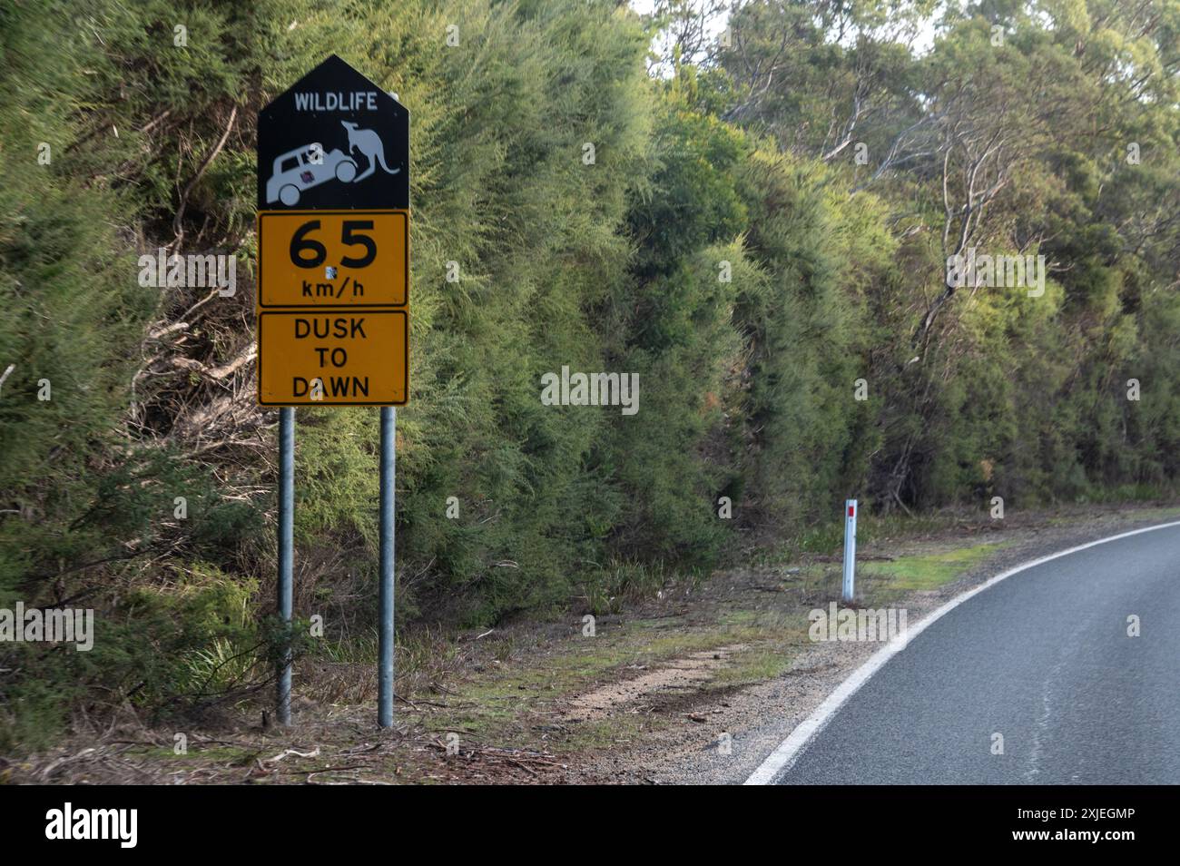 Tasmanian motoring hi-res stock photography and images - Alamy