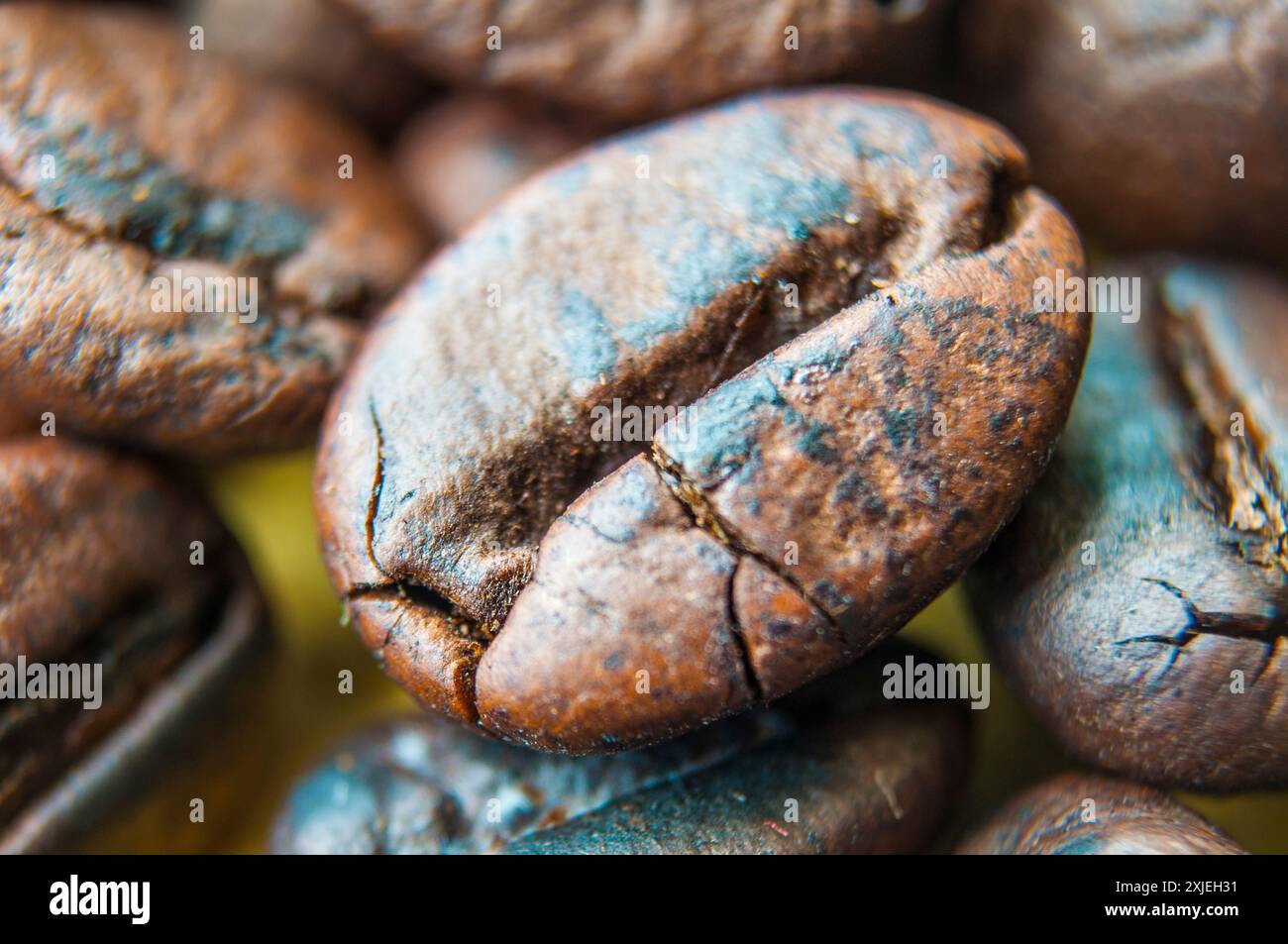 Micro photography of coffee bean Stock Photo - Alamy