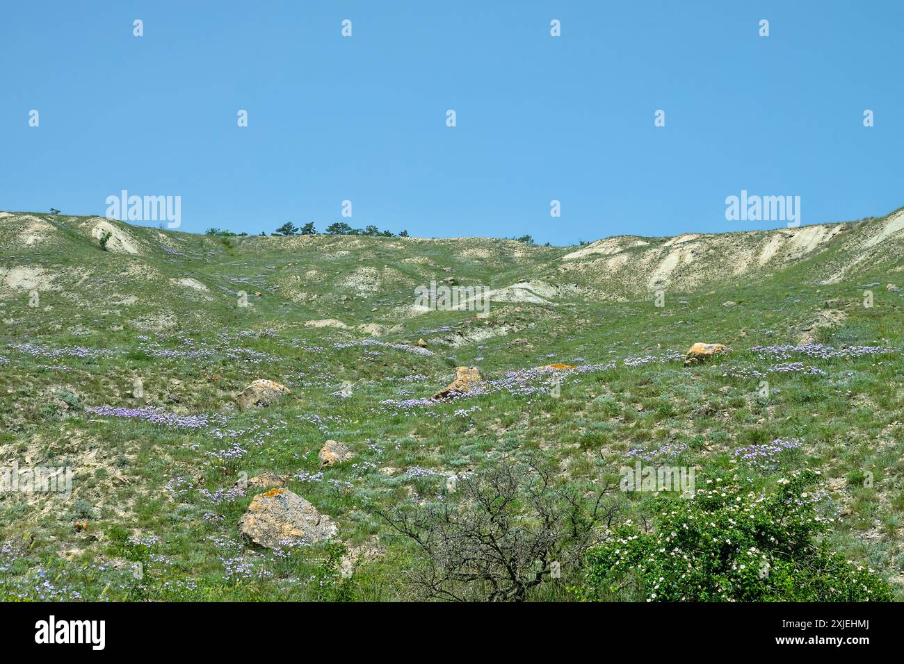 Clay-shale eroded coastal cliffs (badland), Northern Black Sea, Crimea ...