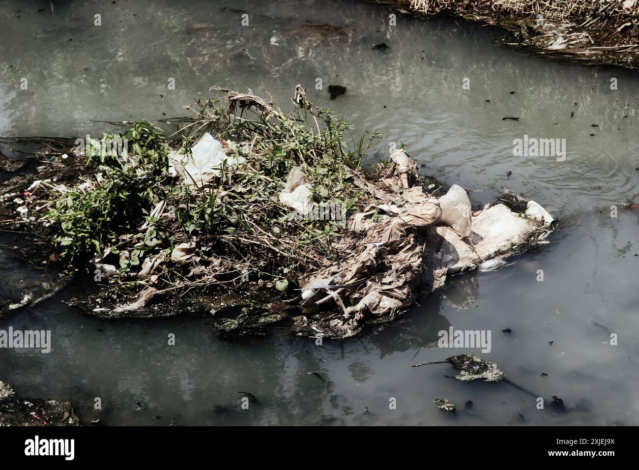 This is the sewer channel of almost dead, clusters of dead organic ...