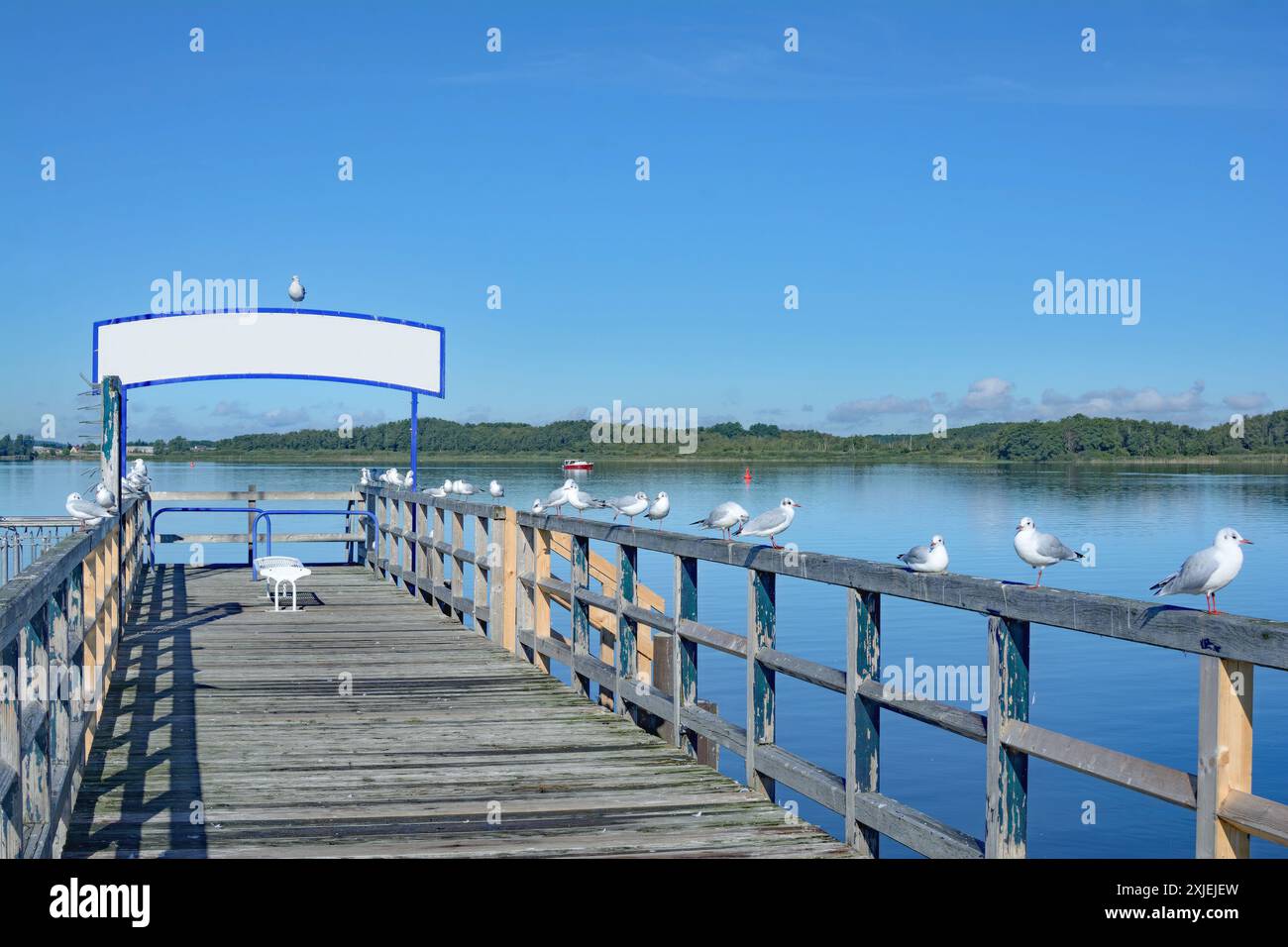 Pier of Rechlin at Lake Müritz in Müritz National Park,Mecklenburg Lake ...