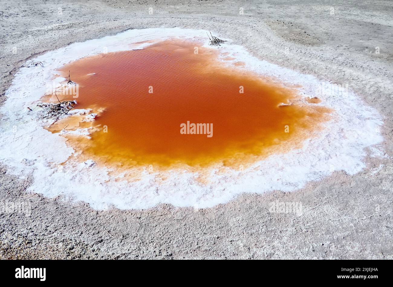 Subsidence funnels on salt marsh are filled with lakes of diverse ...