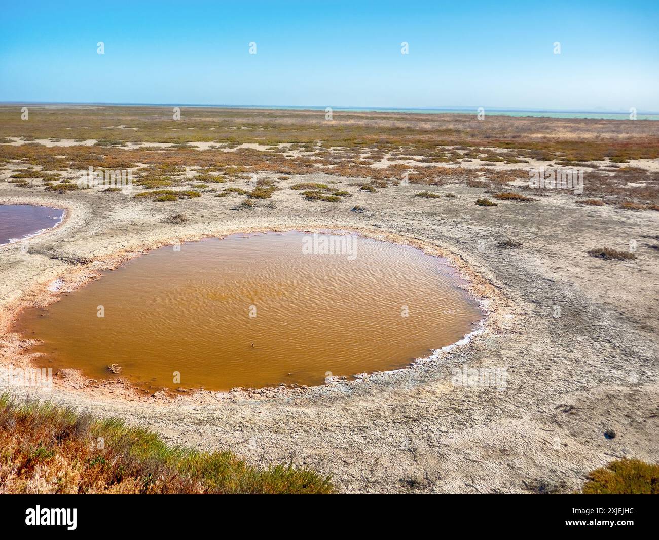 Subsidence funnels on salt marsh are filled with lakes of diverse ...