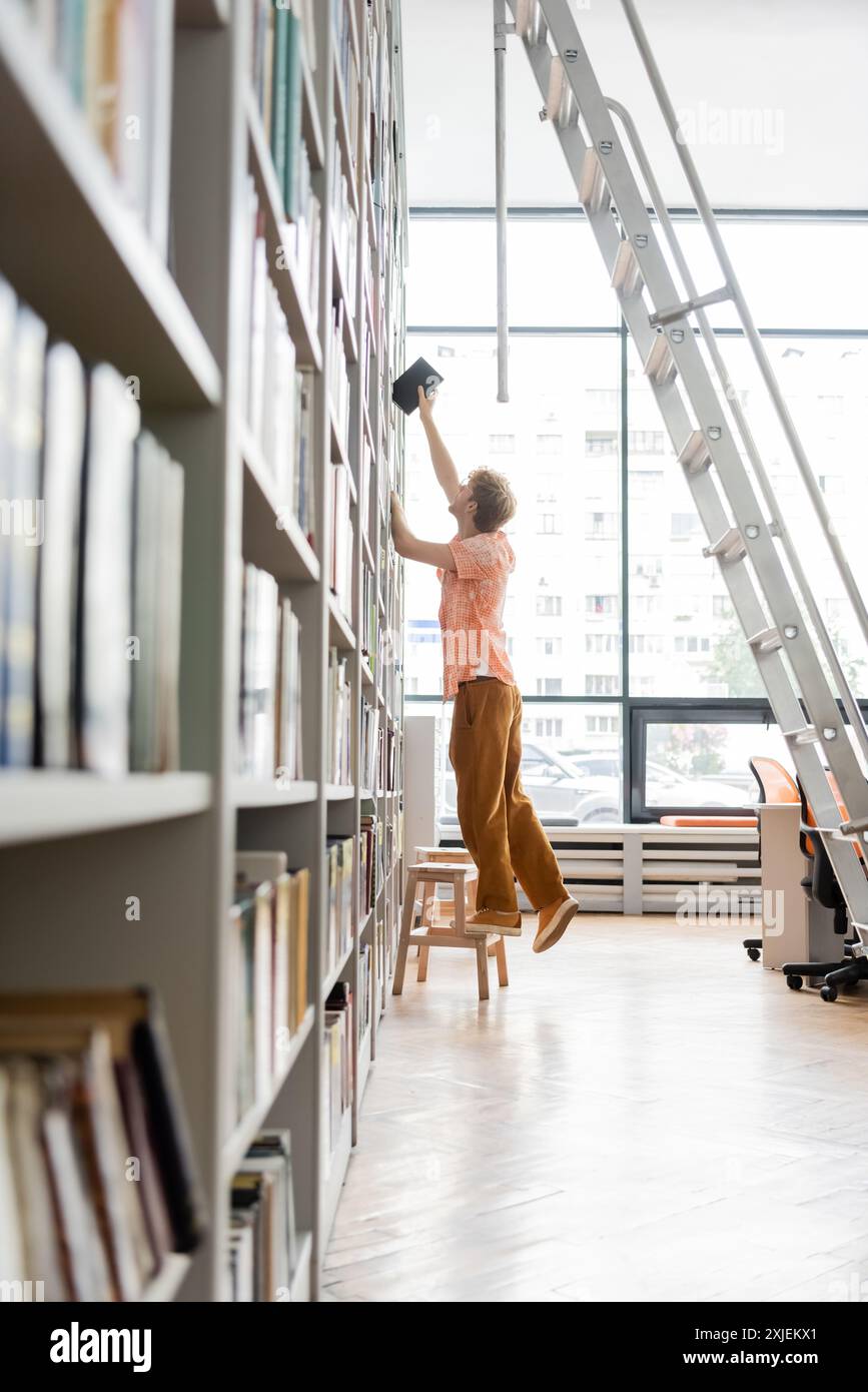 Ladder in a library hi-res stock photography and images - Alamy