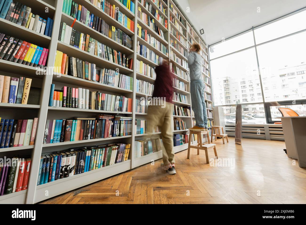 Two young male students climb a bookshelf in a library Stock Photo - Alamy