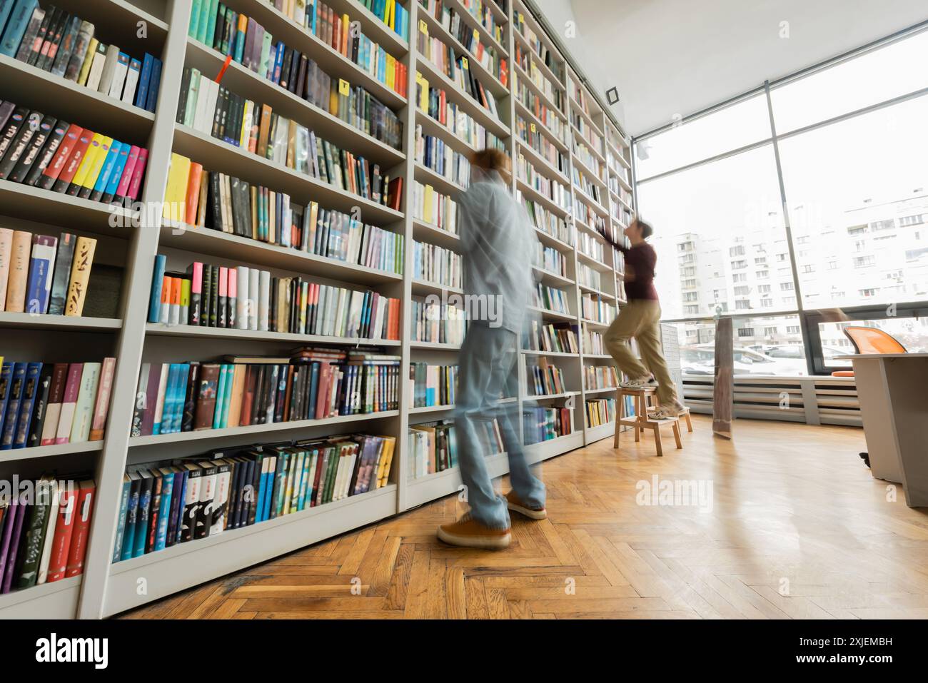 Two young male students studying amidst books in library Stock Photo ...