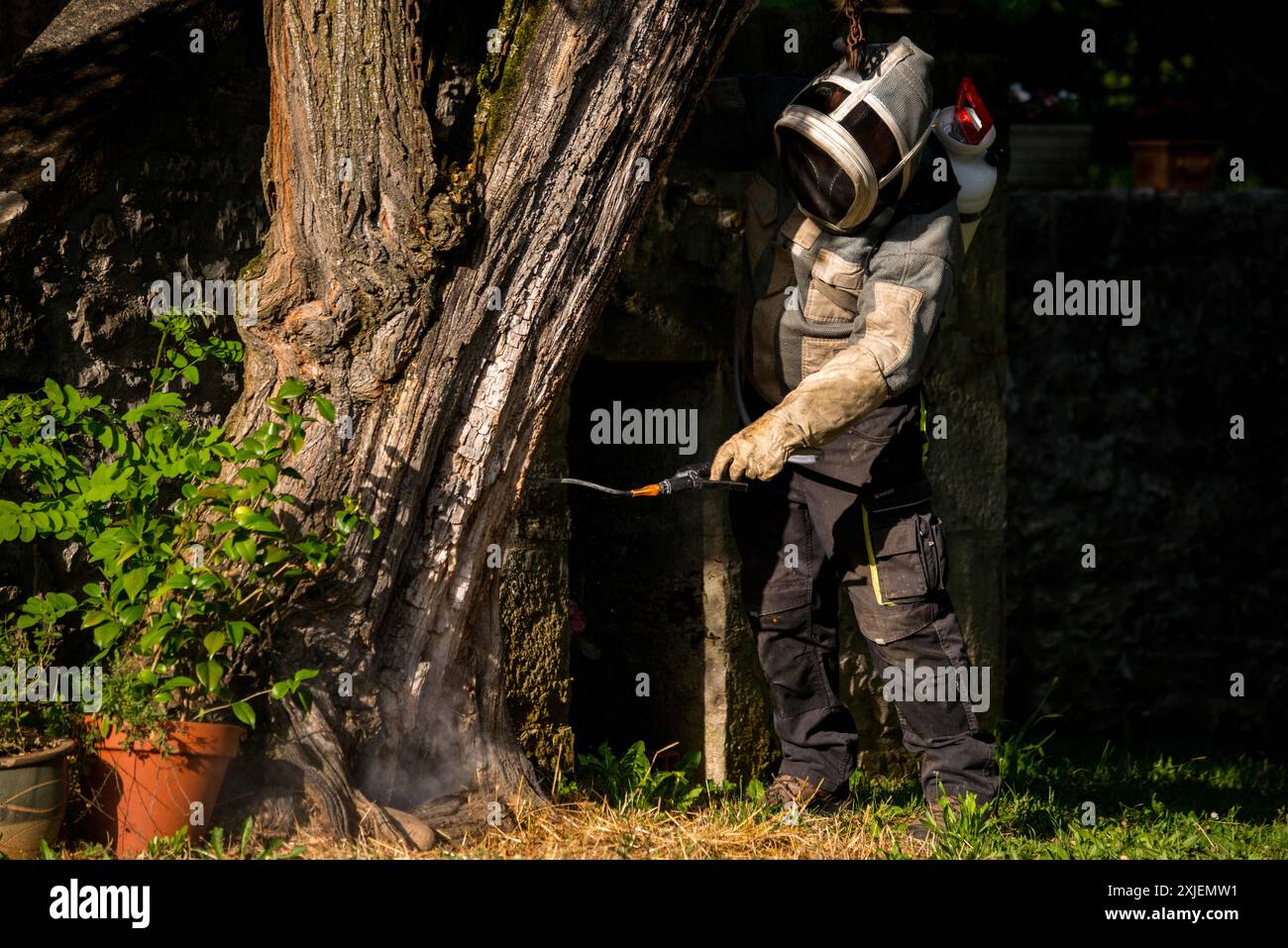 Man killing insects hi-res stock photography and images - Alamy