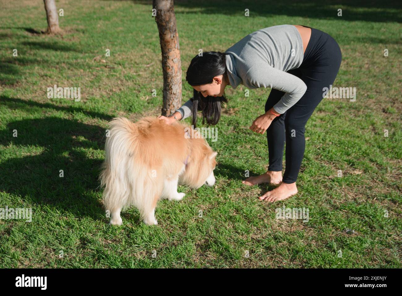 Young Woman caressing a dog in park, she is leaning over petting him ...