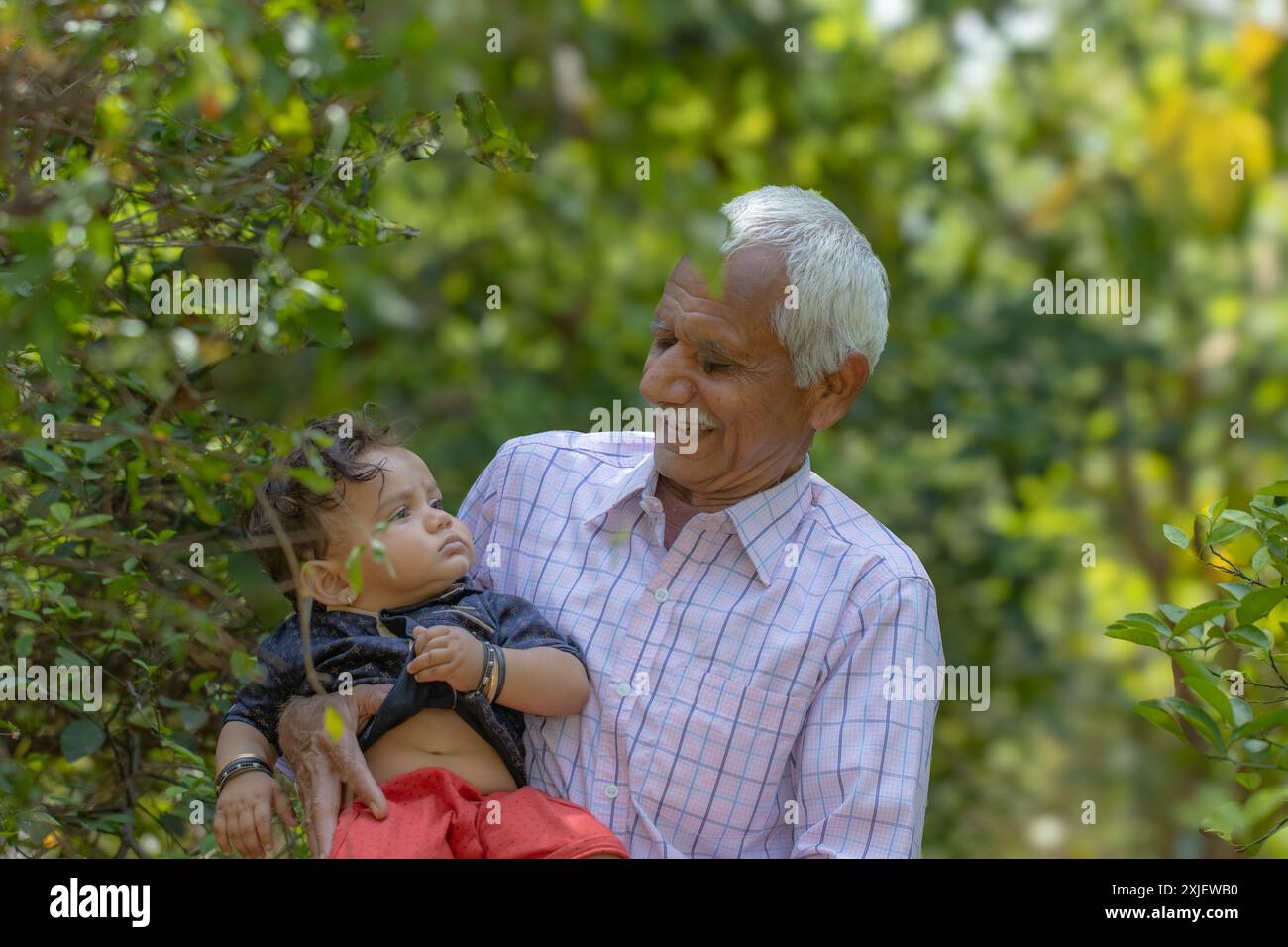 indian Senior man lovingly holding baby boy outdoors in a lush, green ...