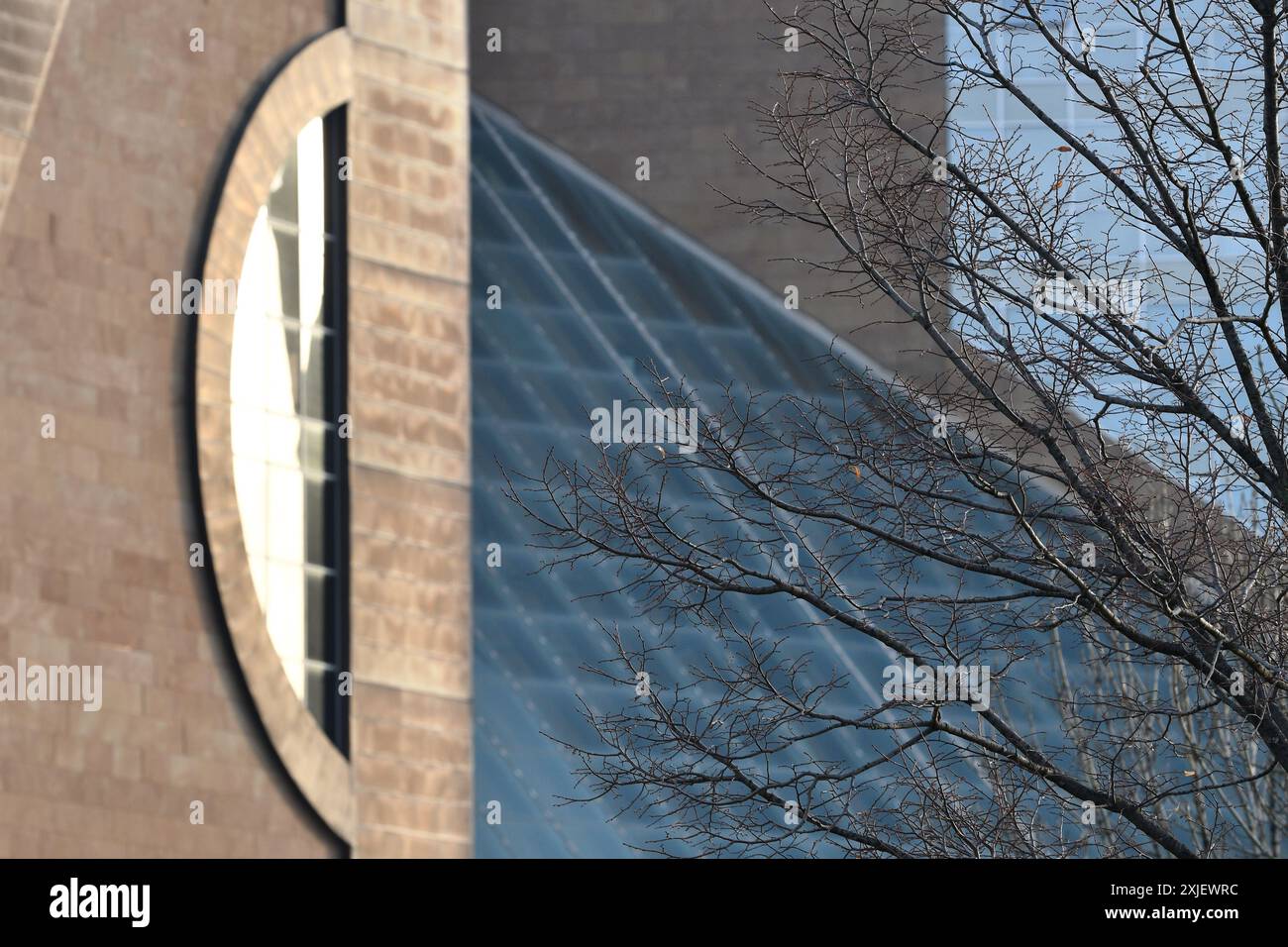 Tree branches with a modern commercial building in the background Stock ...