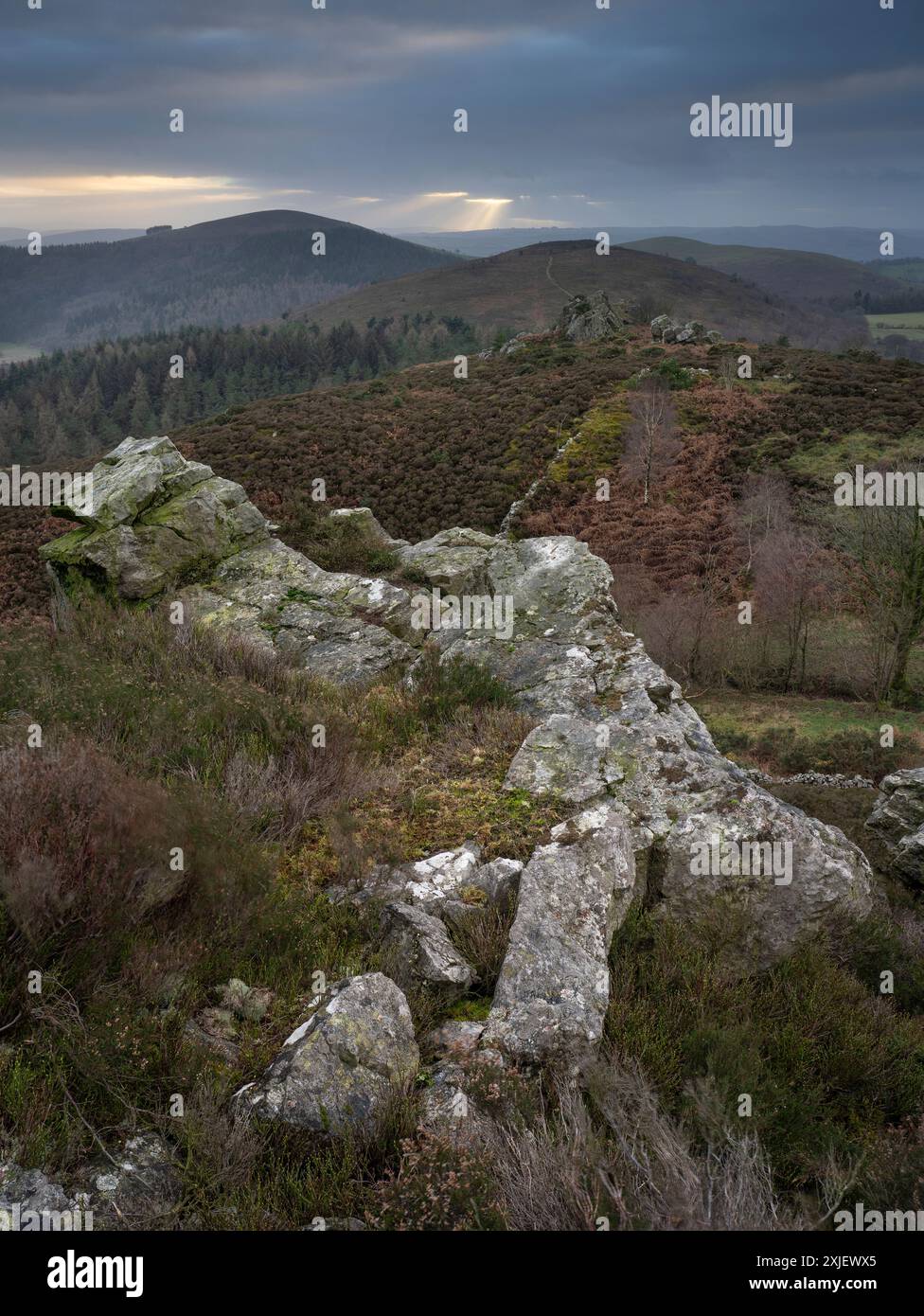 Dramatic scenery and views from the Stiperstones, an exposed quartzite ...