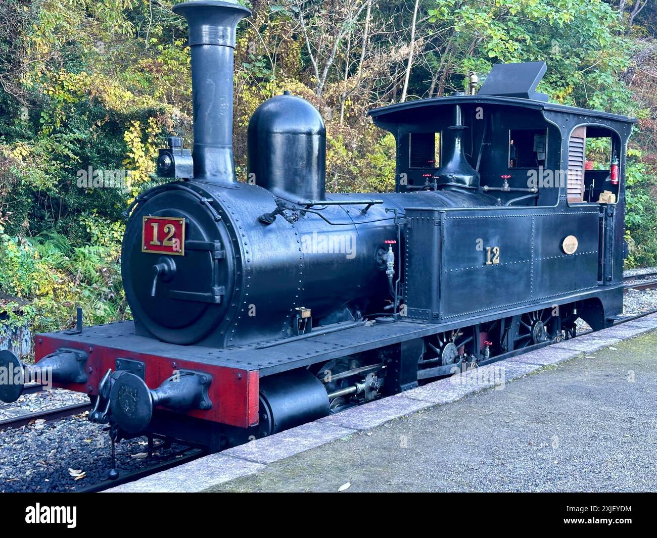 Vintage steam locomotive number 12 on a railway track surrounded by ...