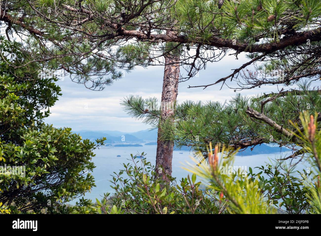 Japan, Seto Inland Sea view from Miyajima island, viewpoint on mount ...