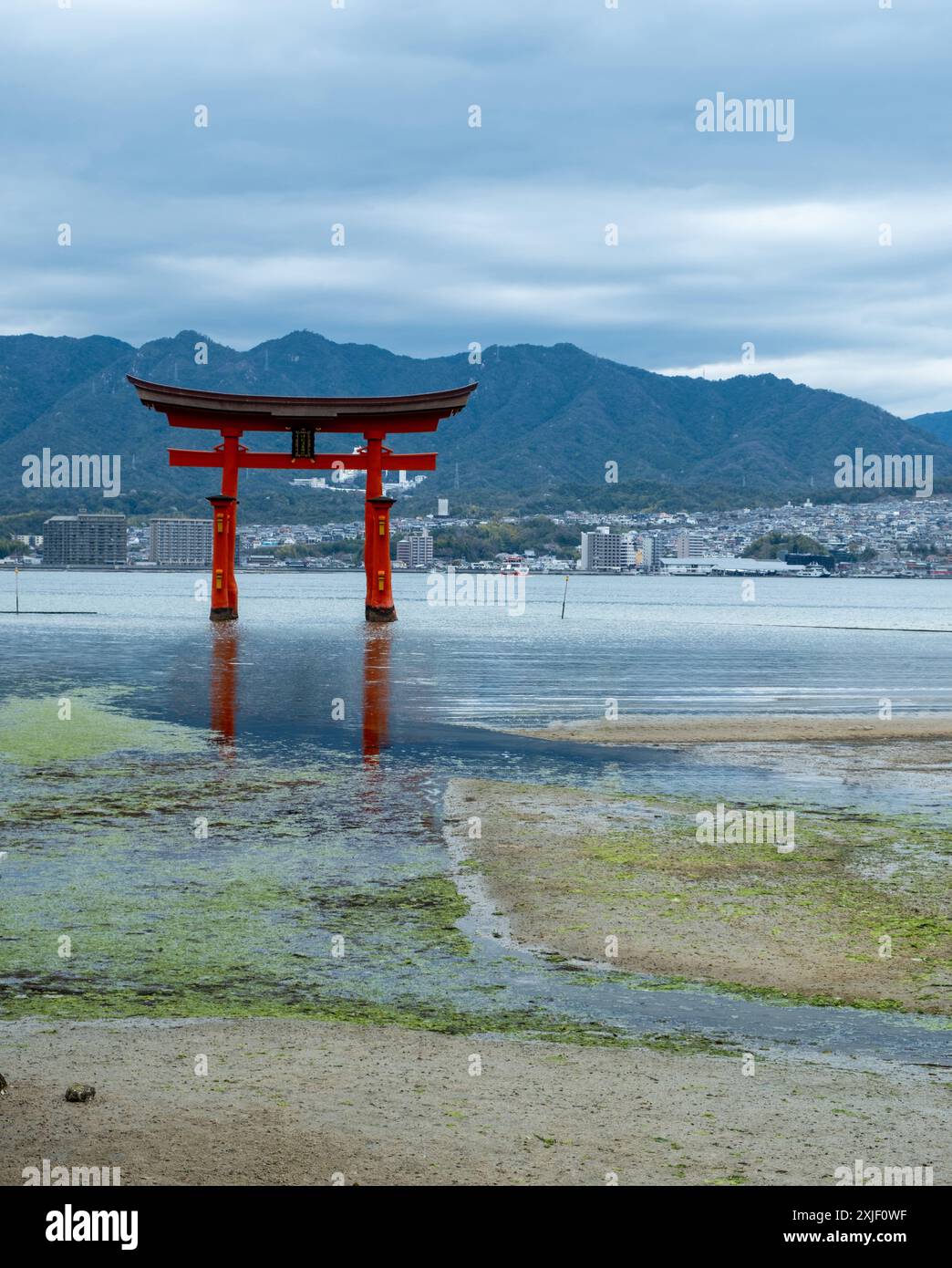 Japan, Itsukushima Shrine, Shinto floating torii orange red gate in the ...